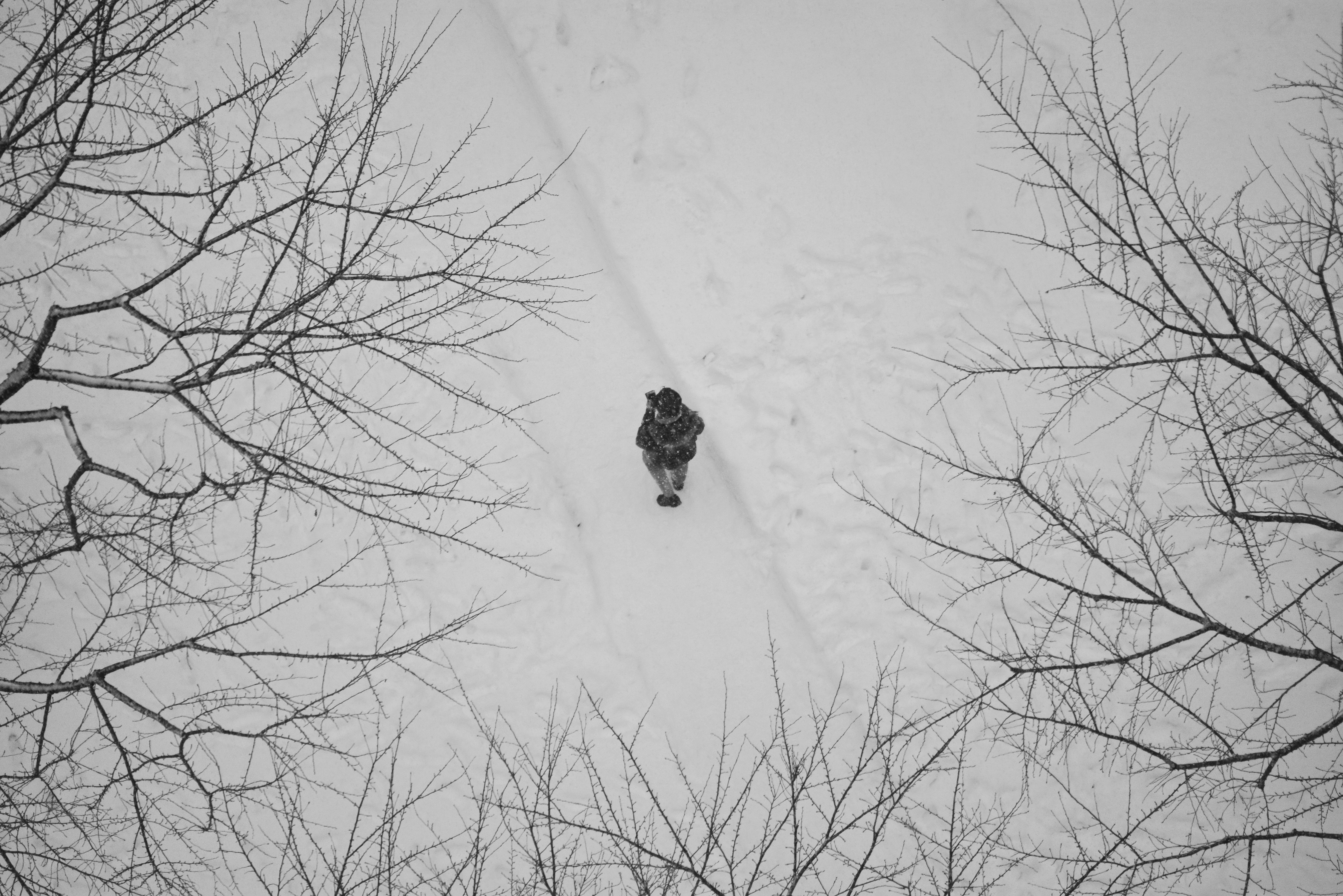 Photo by Adrian Siaril with Nikon D7100