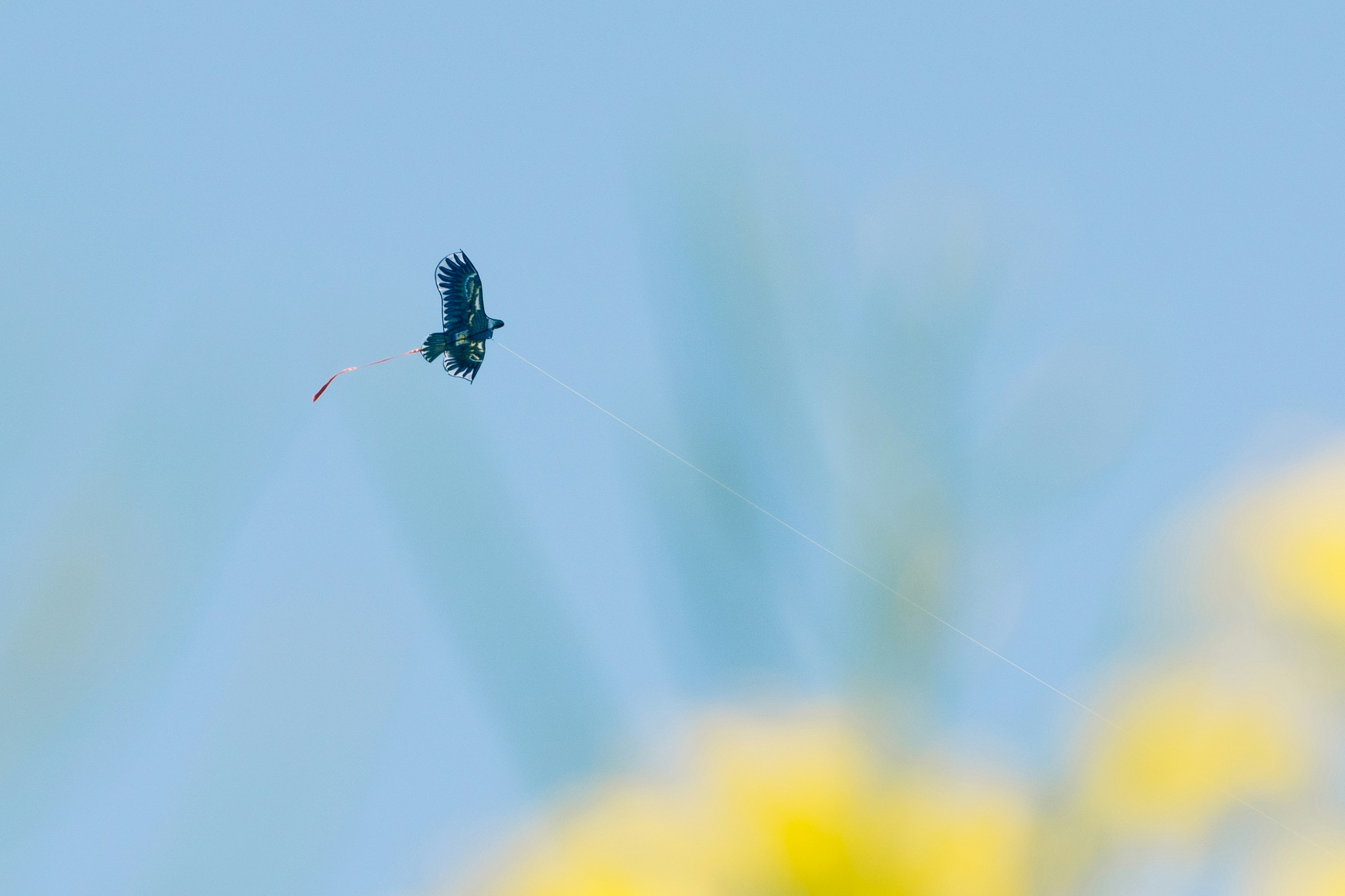 Photo by Sergio Li with Sony Alpha 6100