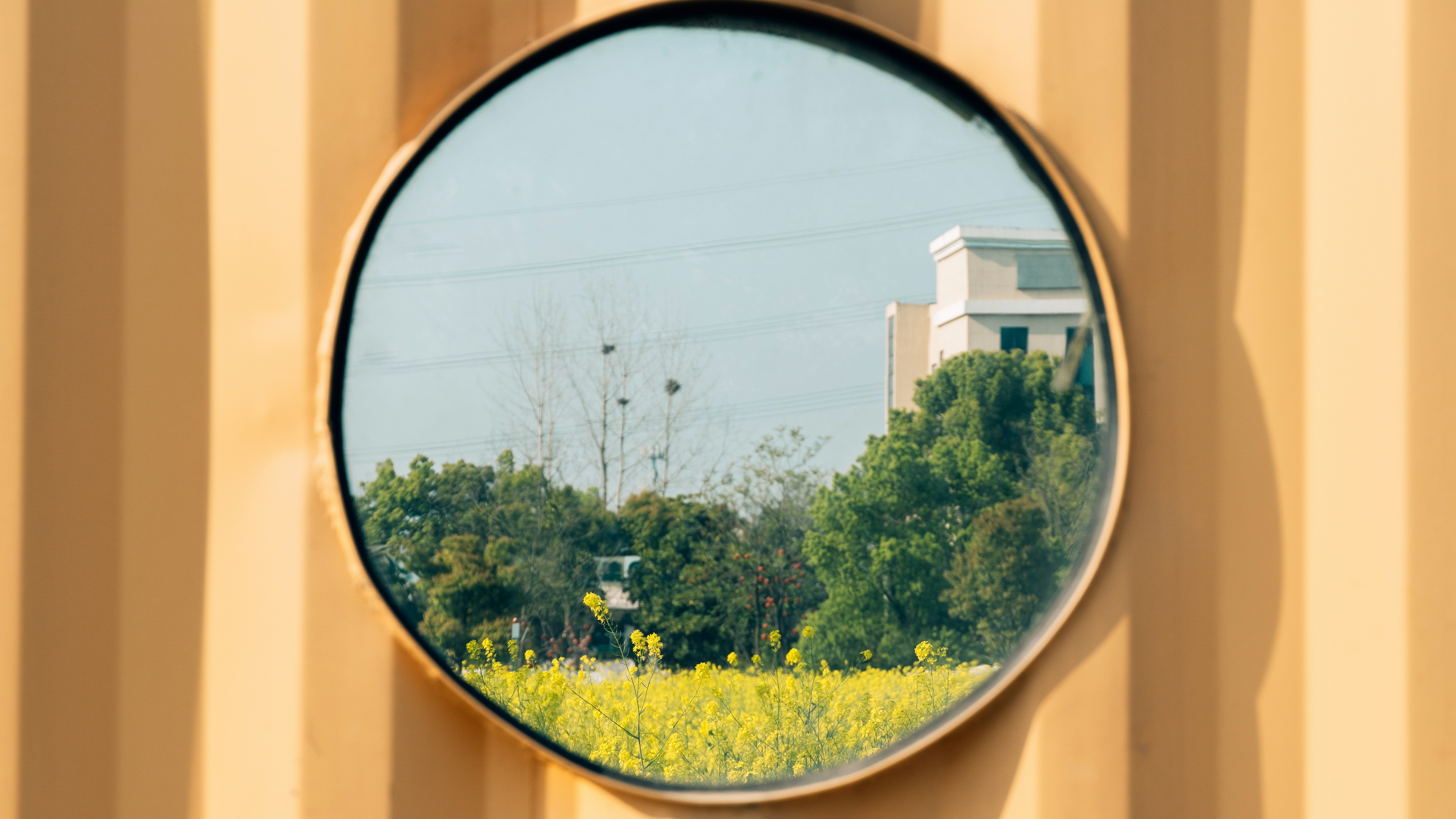 Foto Una ventana con árboles afuera – Imagen Mar gratis en Unsplash