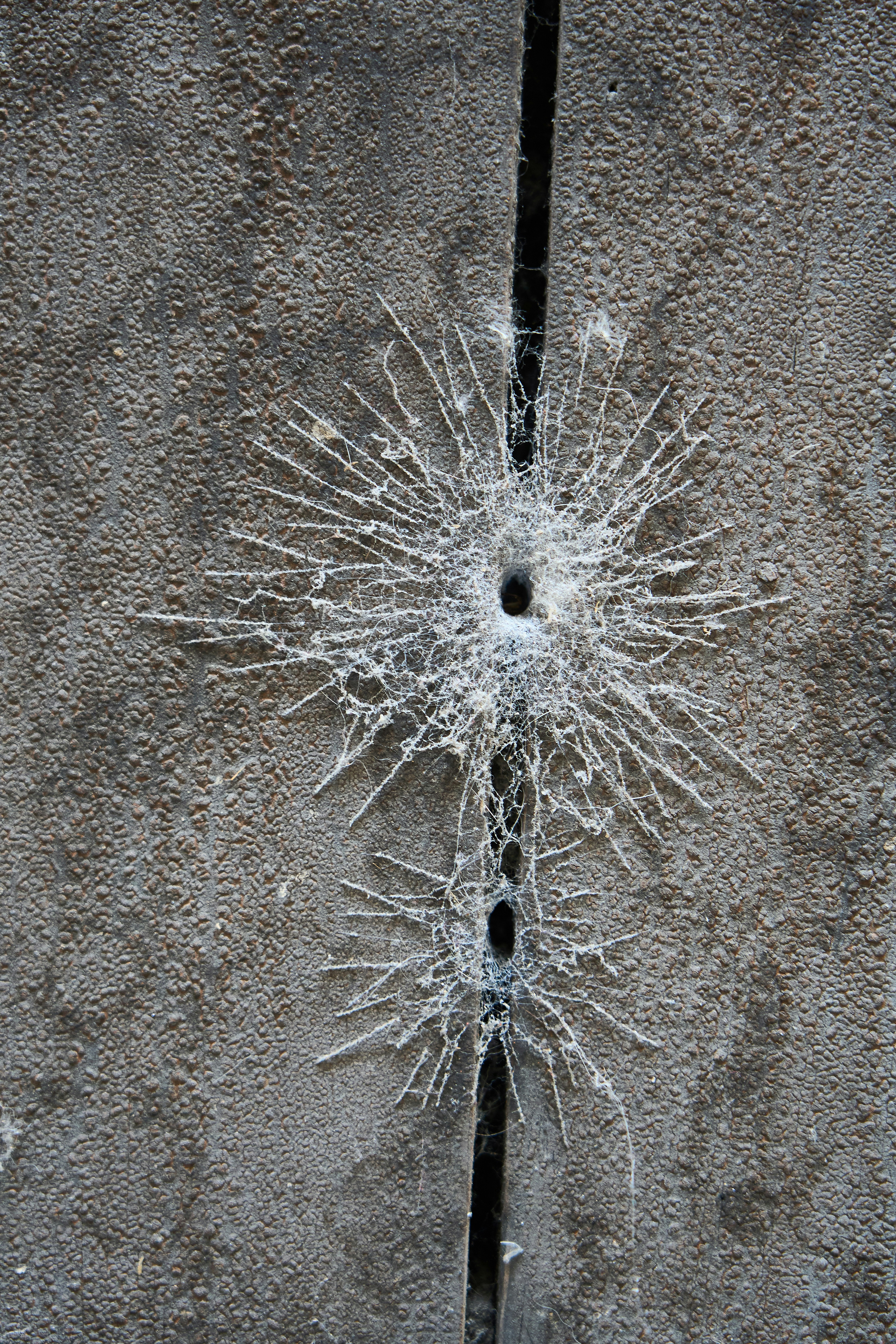 Twin Bullet-Hole Starbursts in Frosted Wood