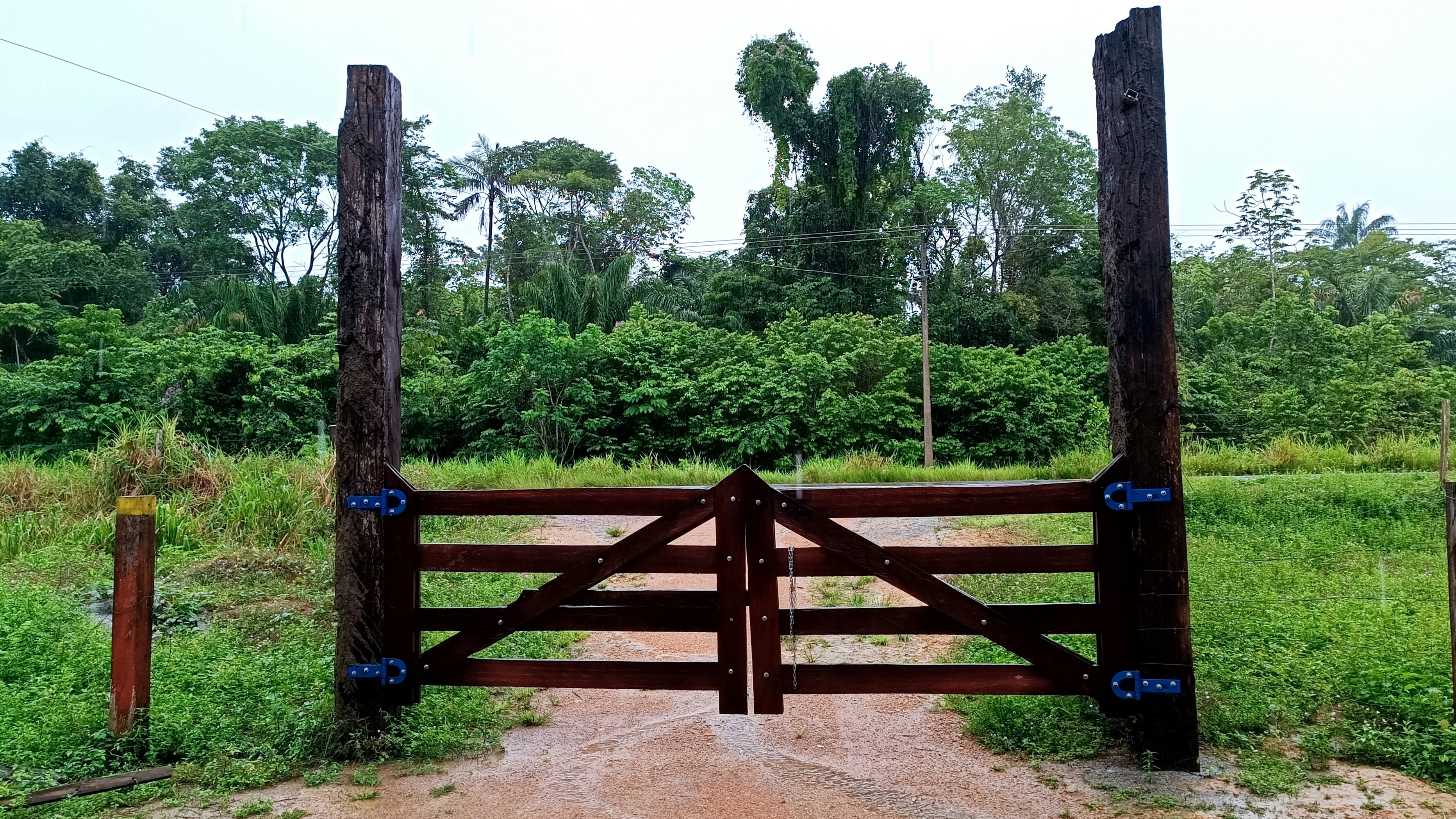 Threshold of Green: Weathered Gate Framing a Lush Field