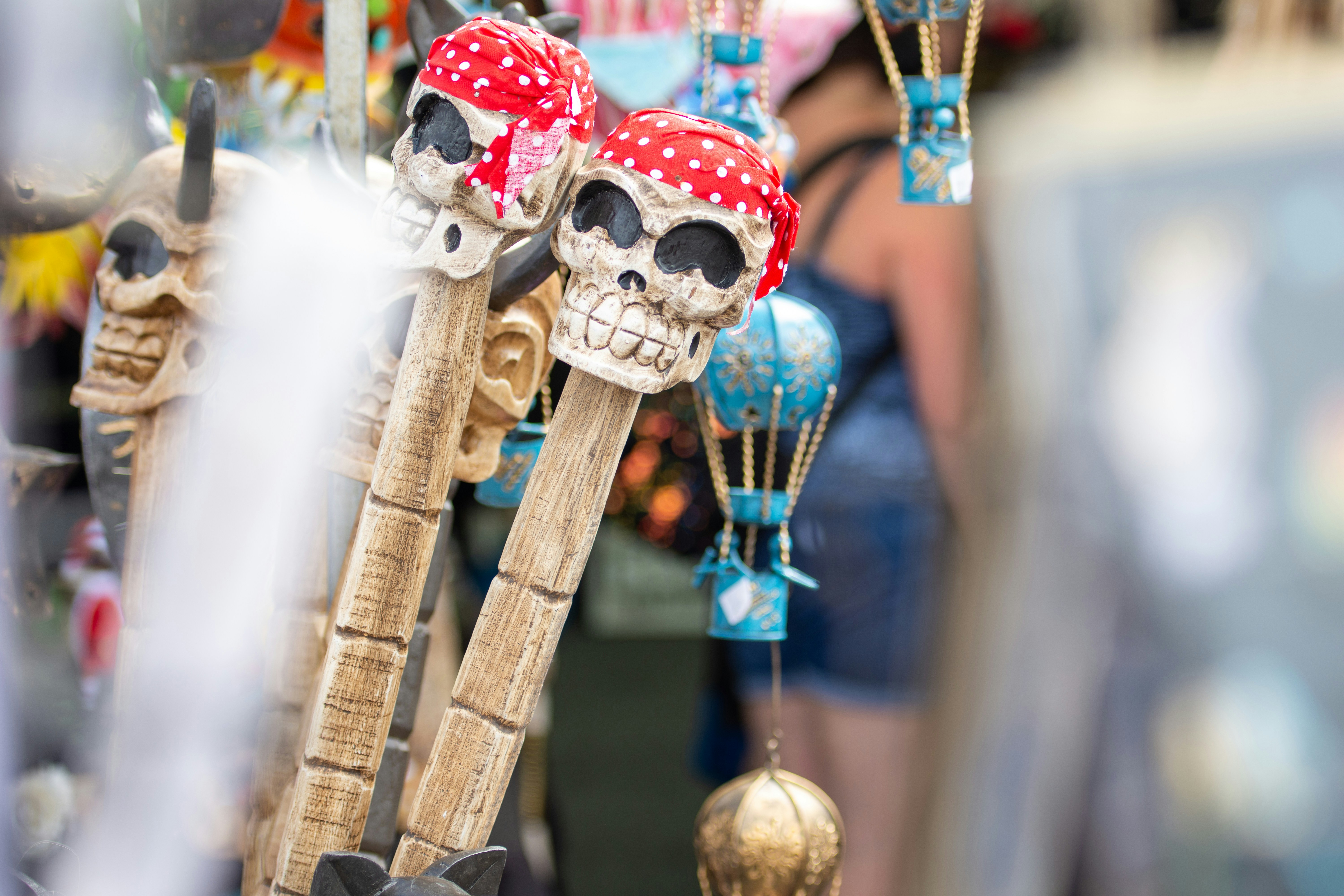 Skeleton holding a stick photo – Free Human Image on Unsplash