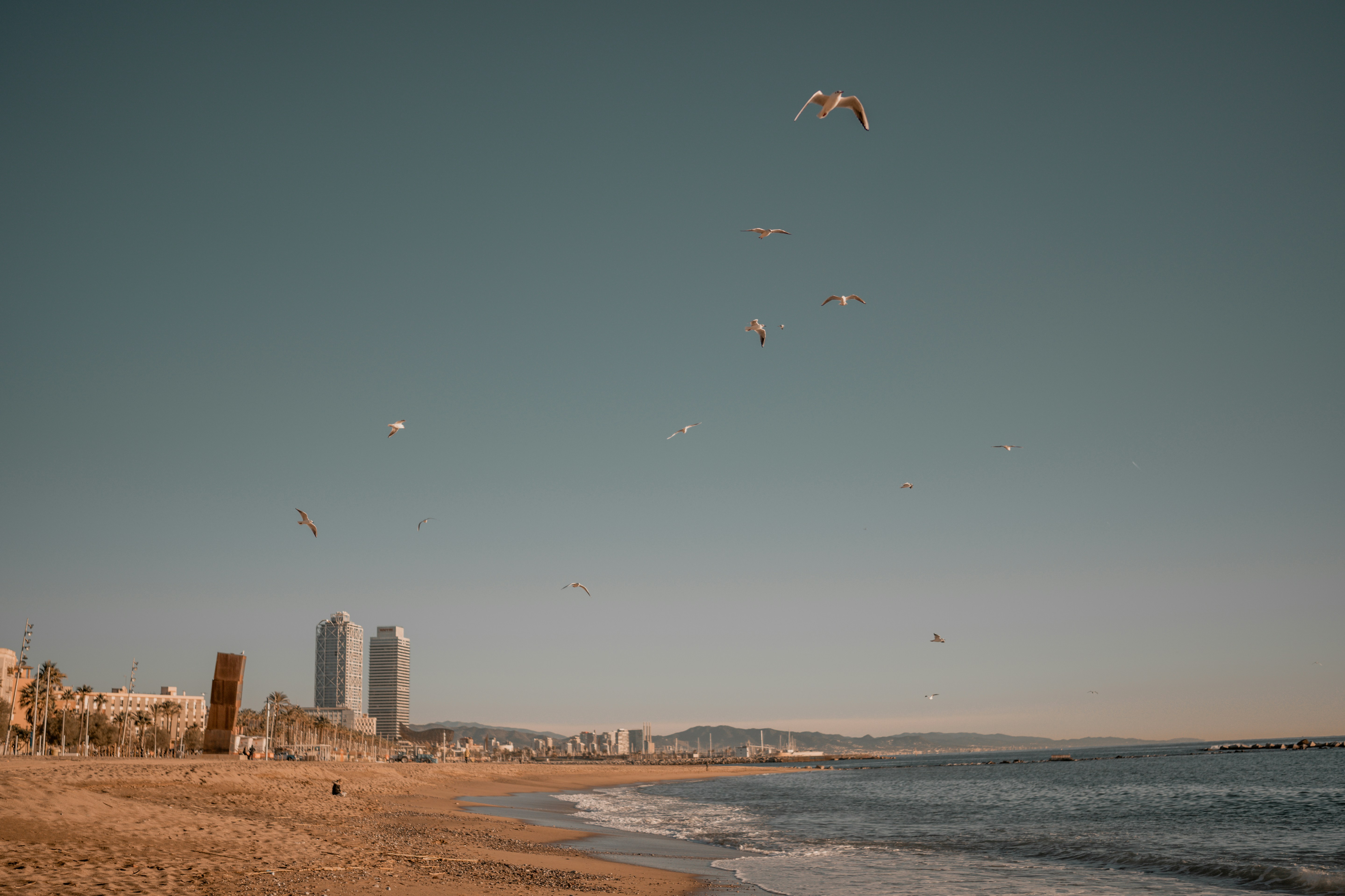 Seaside Flight: Seagulls Over a Quiet Coastline