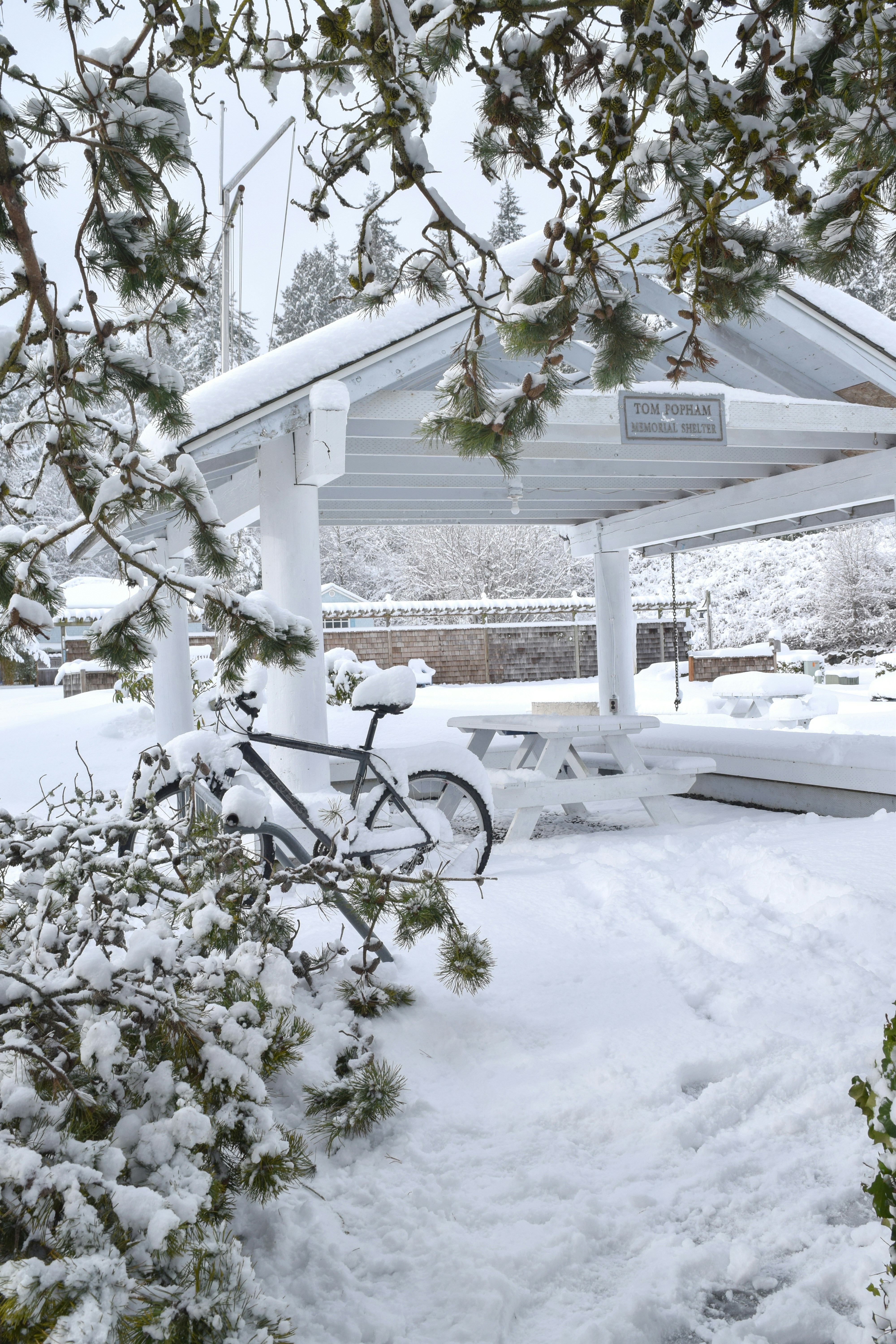 A snow-covered gazebo with a bicycle resting against a snowy bush, surrounded by a tranquil winter landscape.
