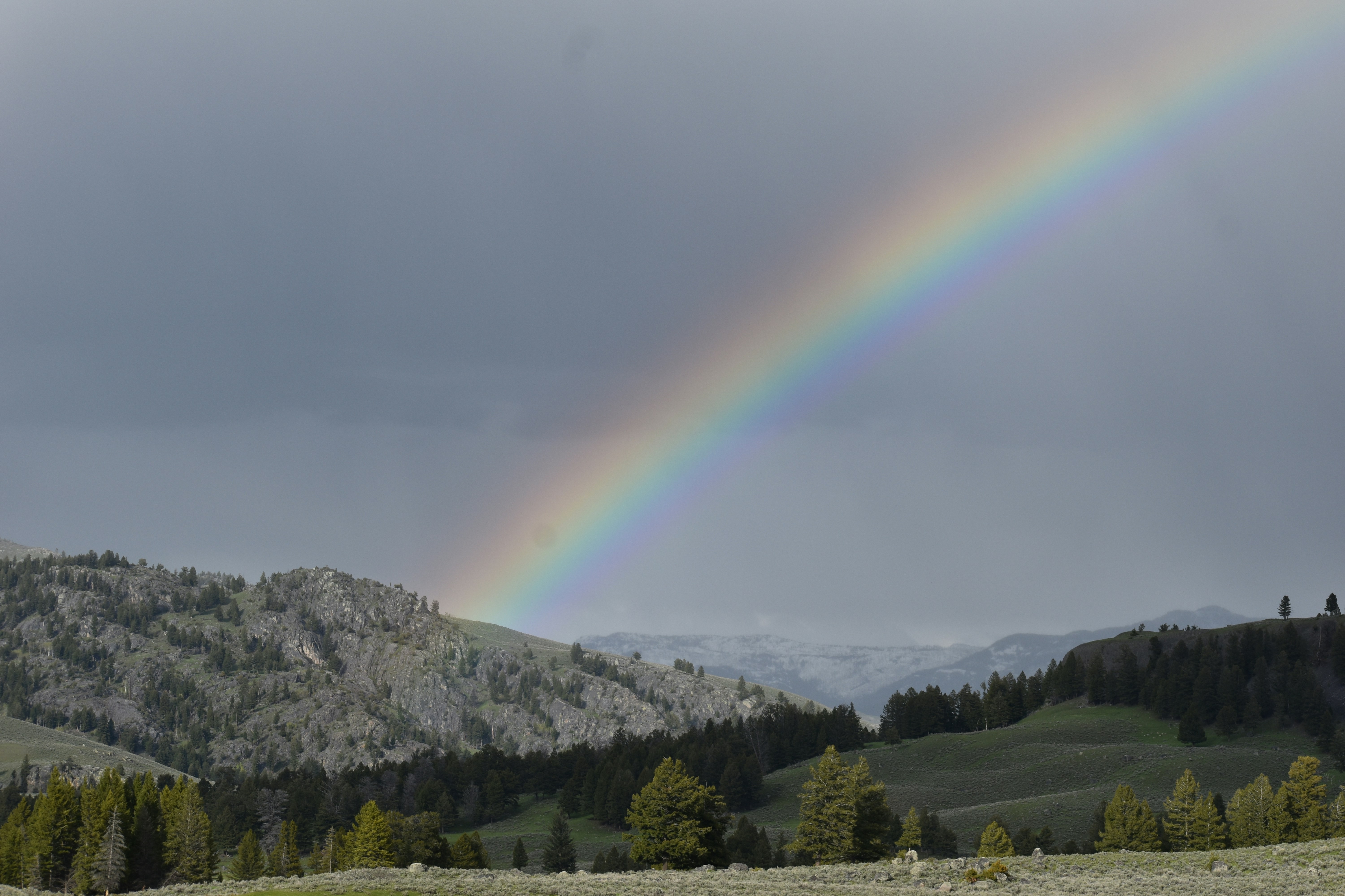Winter Rainbow Tracing the Quiet Ridge Over an Alpine Meadow