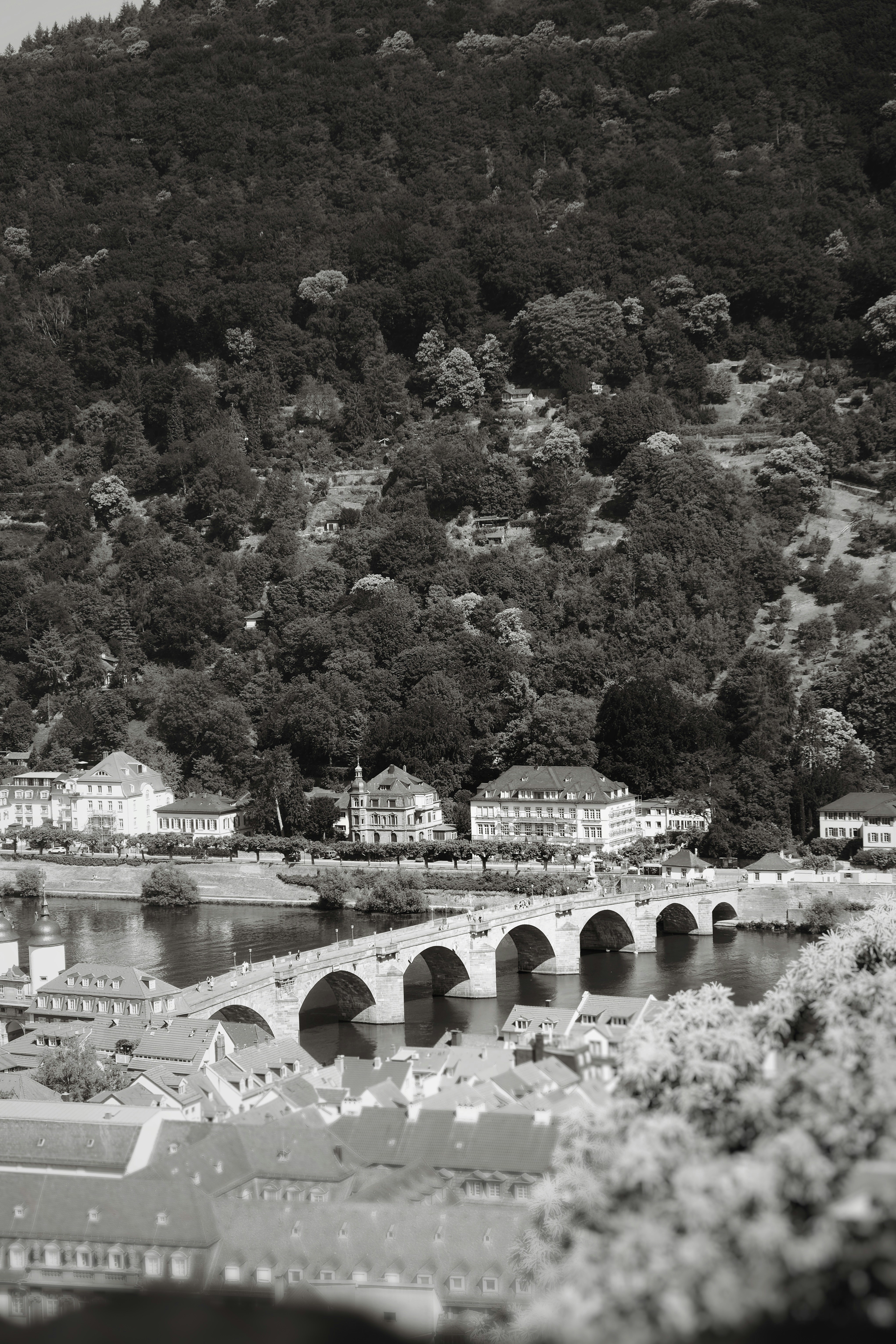 Historic stone bridge arching over the river, surrounded by lush greenery and quaint buildings along the bank.