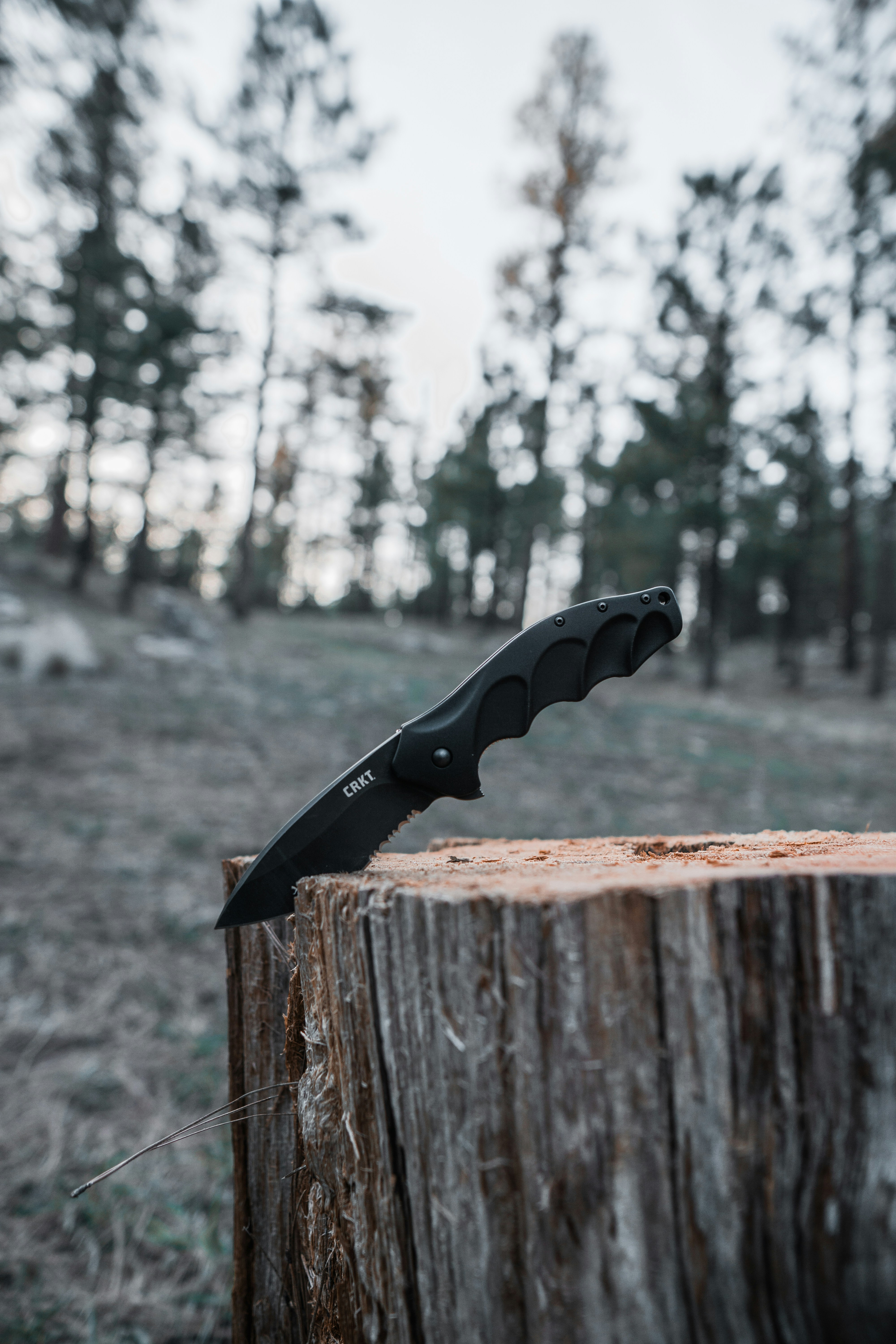Stilled Edge: Knife Resting on a Weathered Stump in a Pine Border