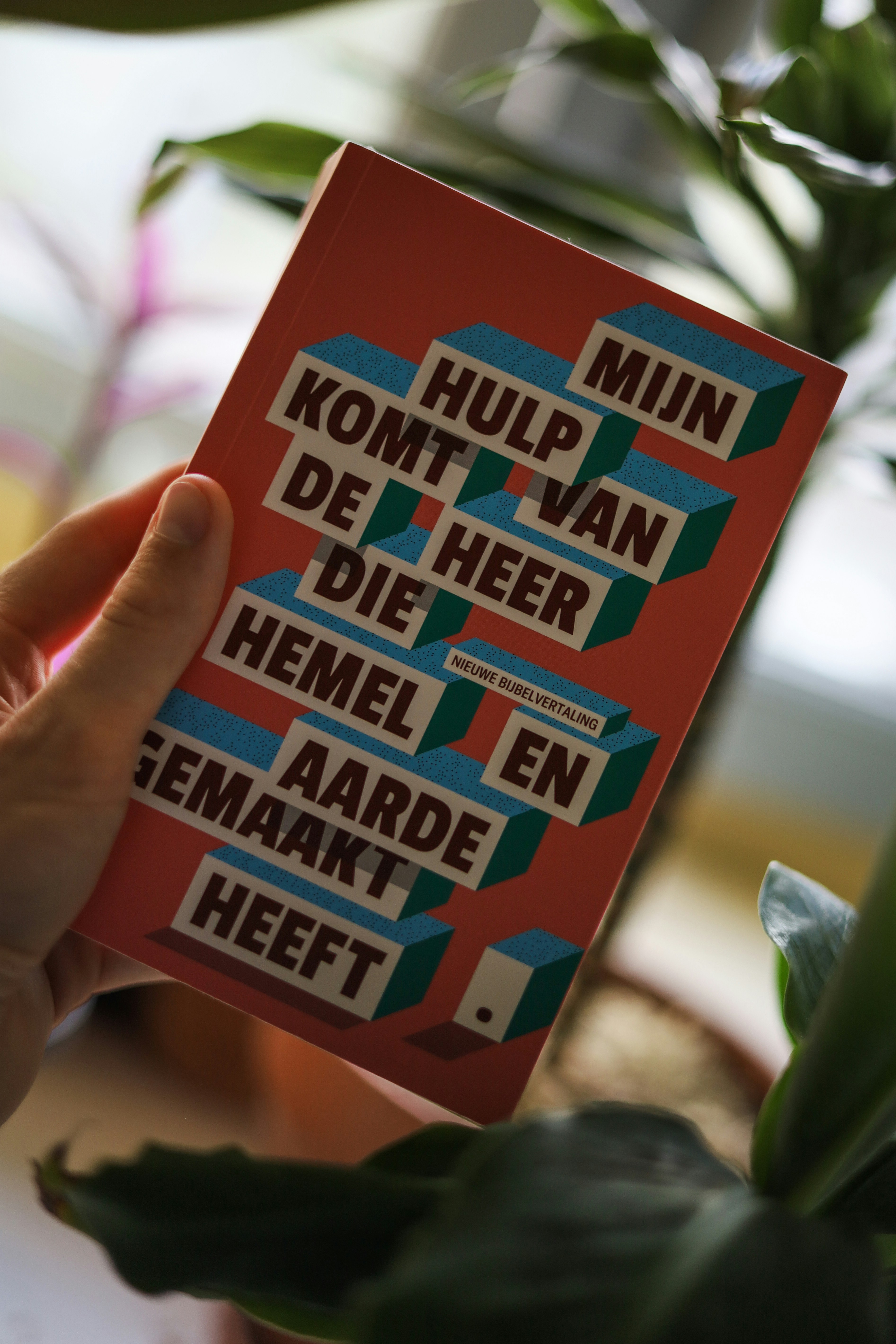 Person holding Dutch Bible.