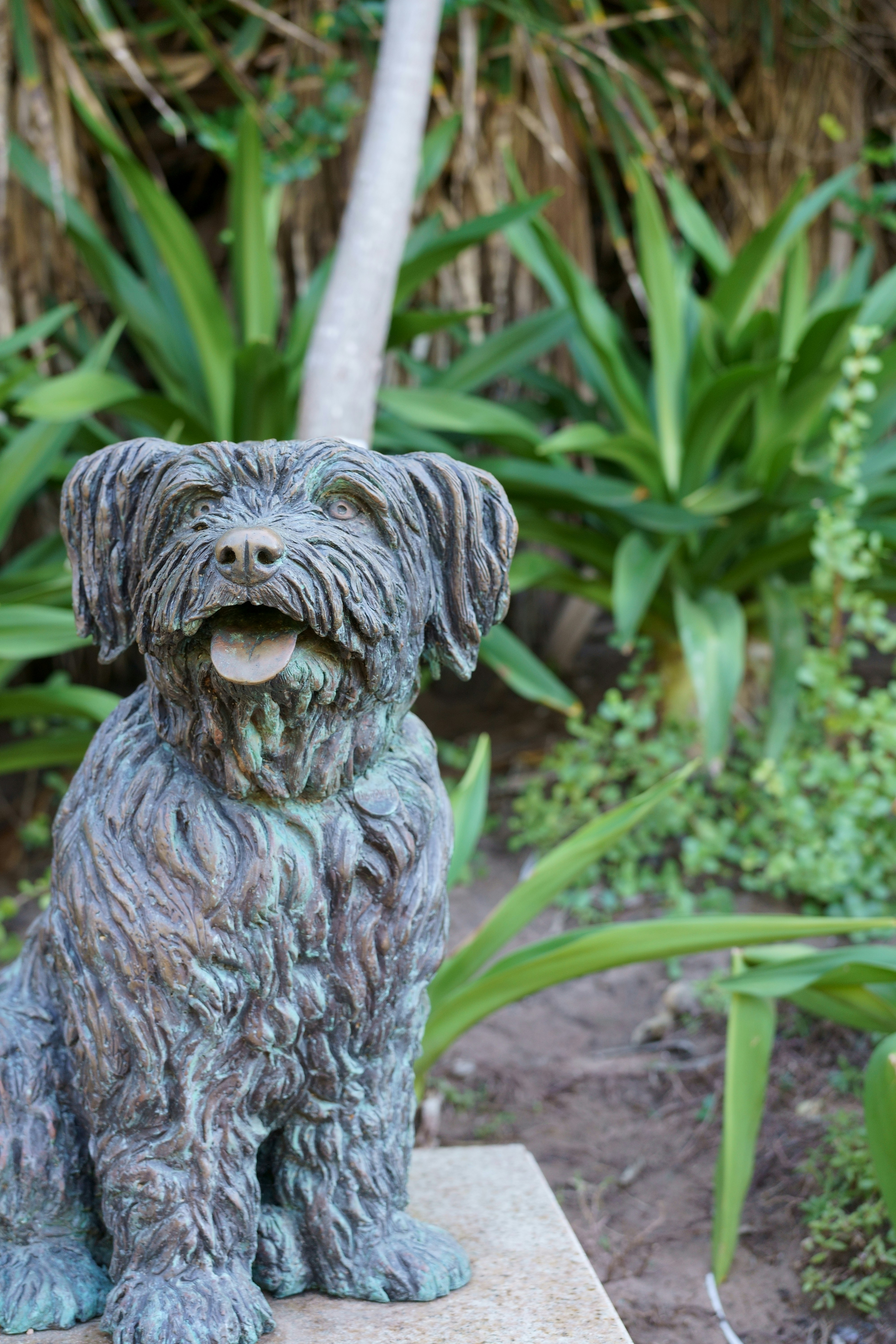 Weathered Garden Hound: A Stone Statue Amid Lush Greenery