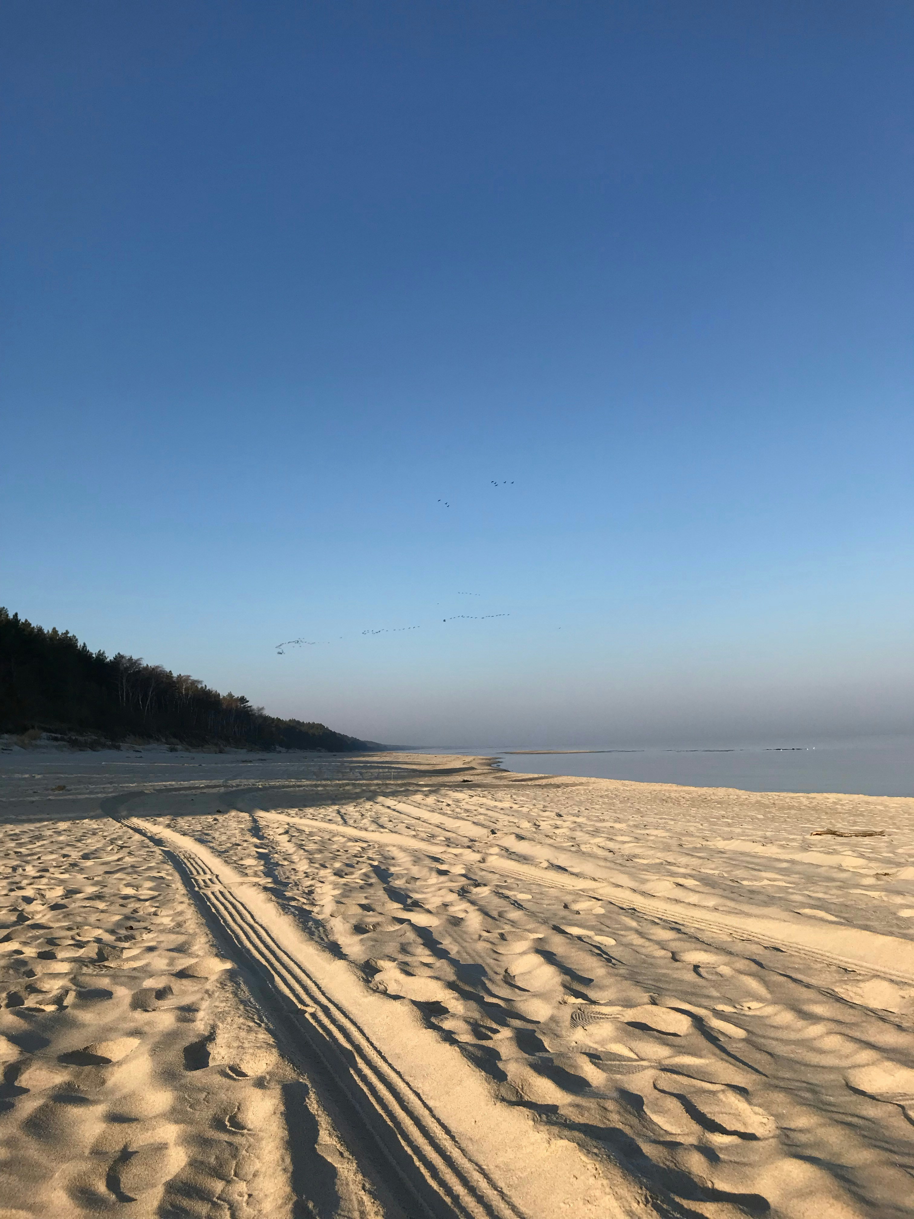 Une plage de sable avec un sentier photo – Photo Le sable Gratuite sur ...
