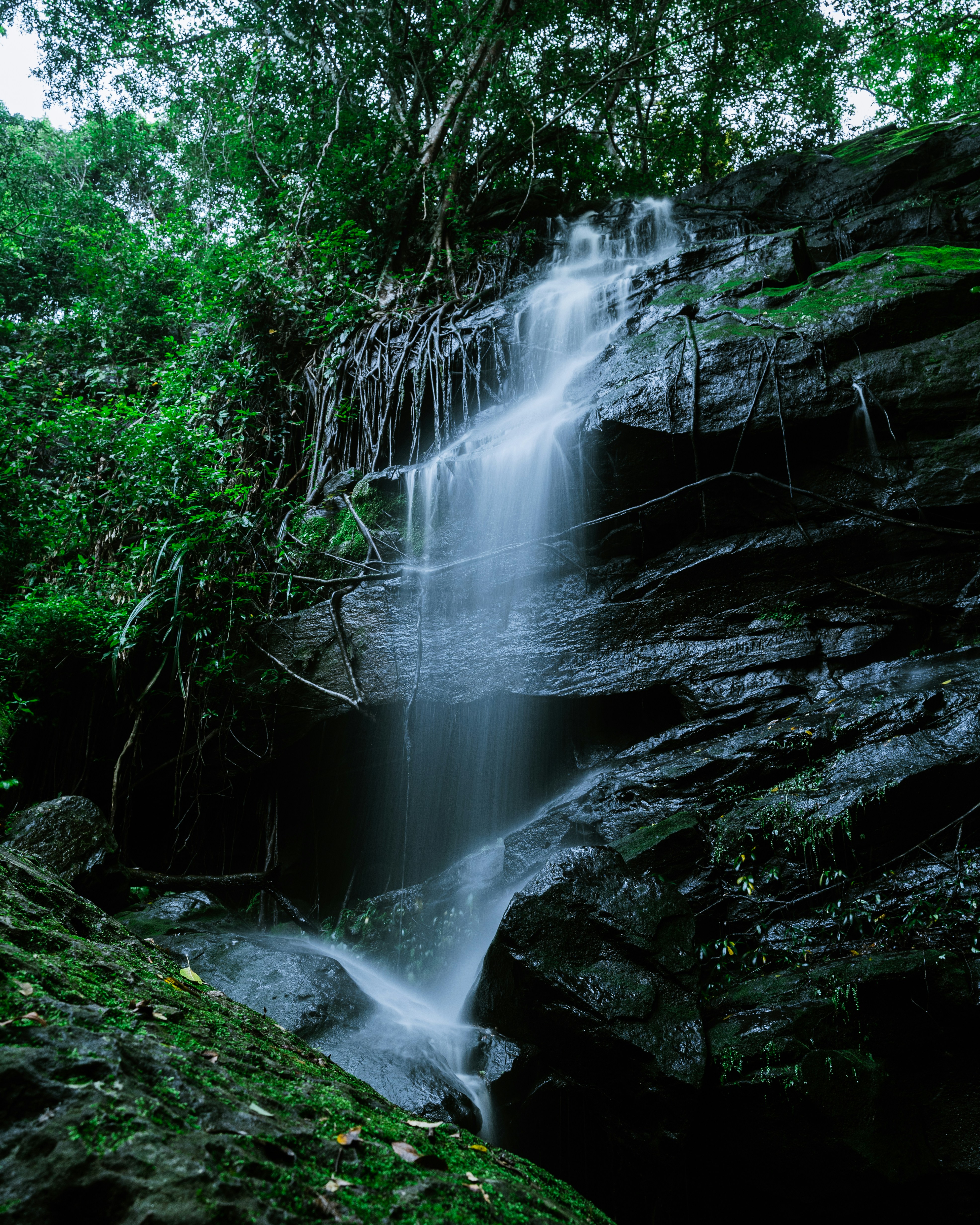 A waterfall in a forest photo – Free Nature Image on Unsplash