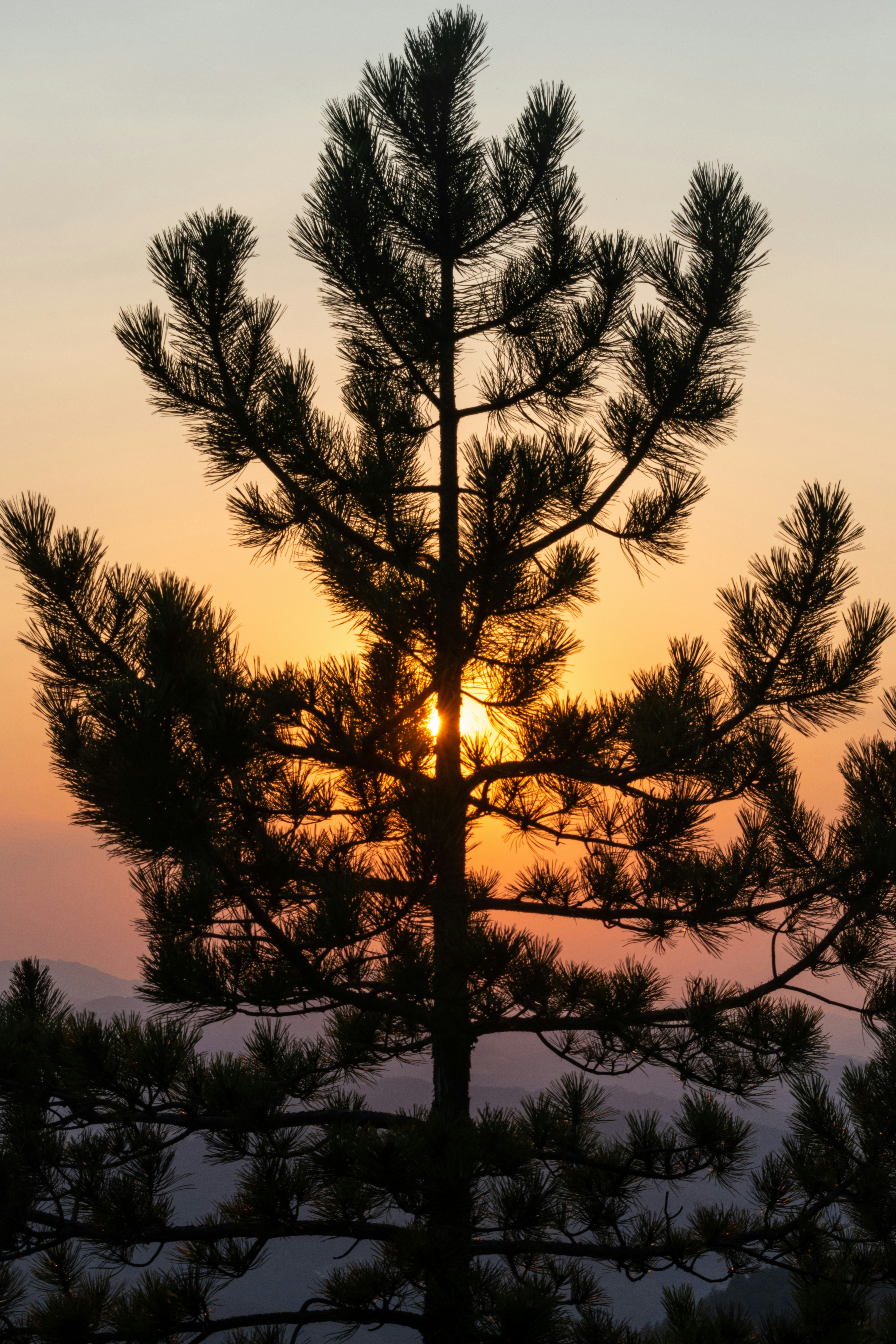 Sunset over the Maljen mountain and the forest.