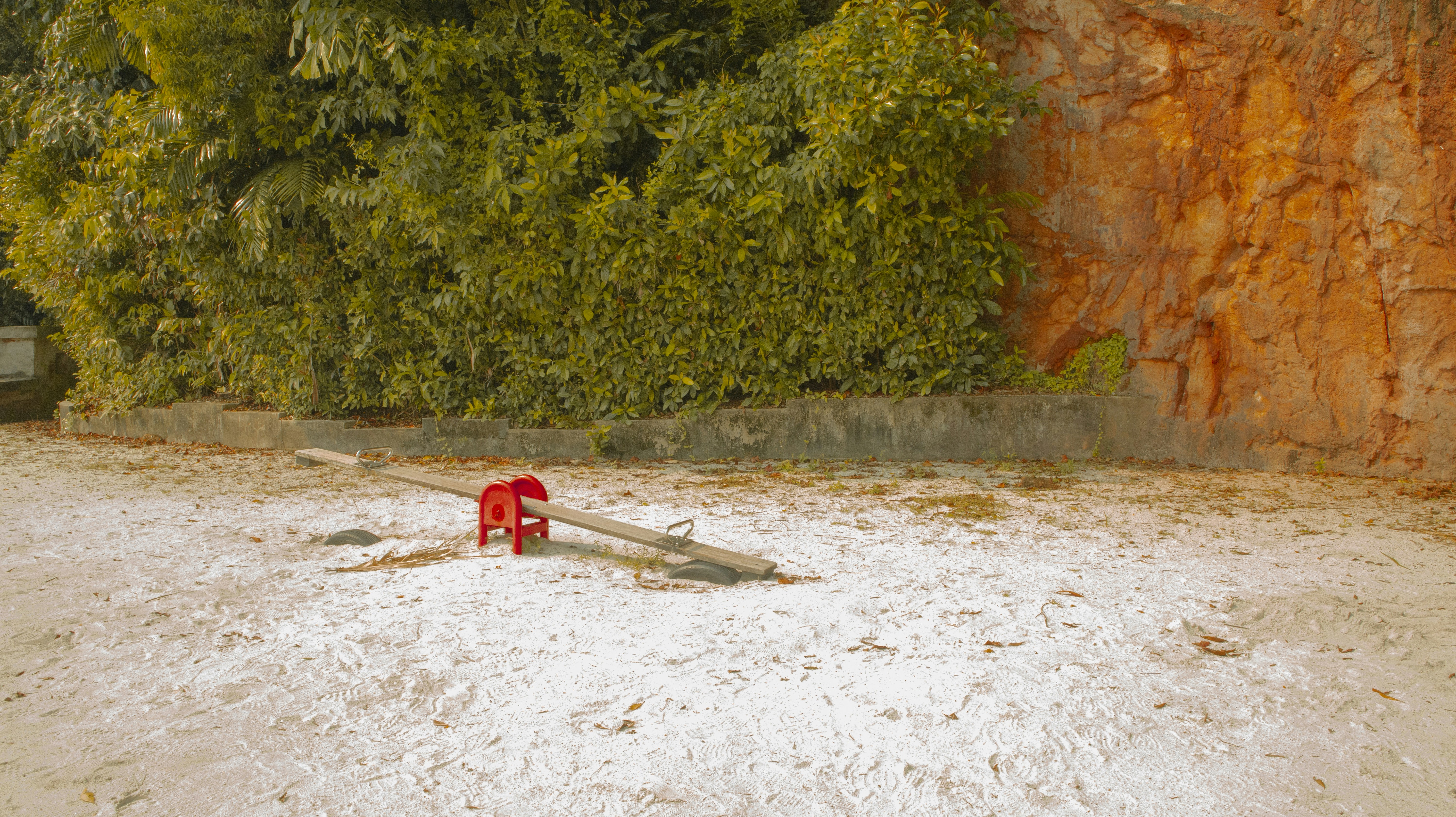 Faith Lee (@faithxfulee) | Unsplashフォトコミュニティ