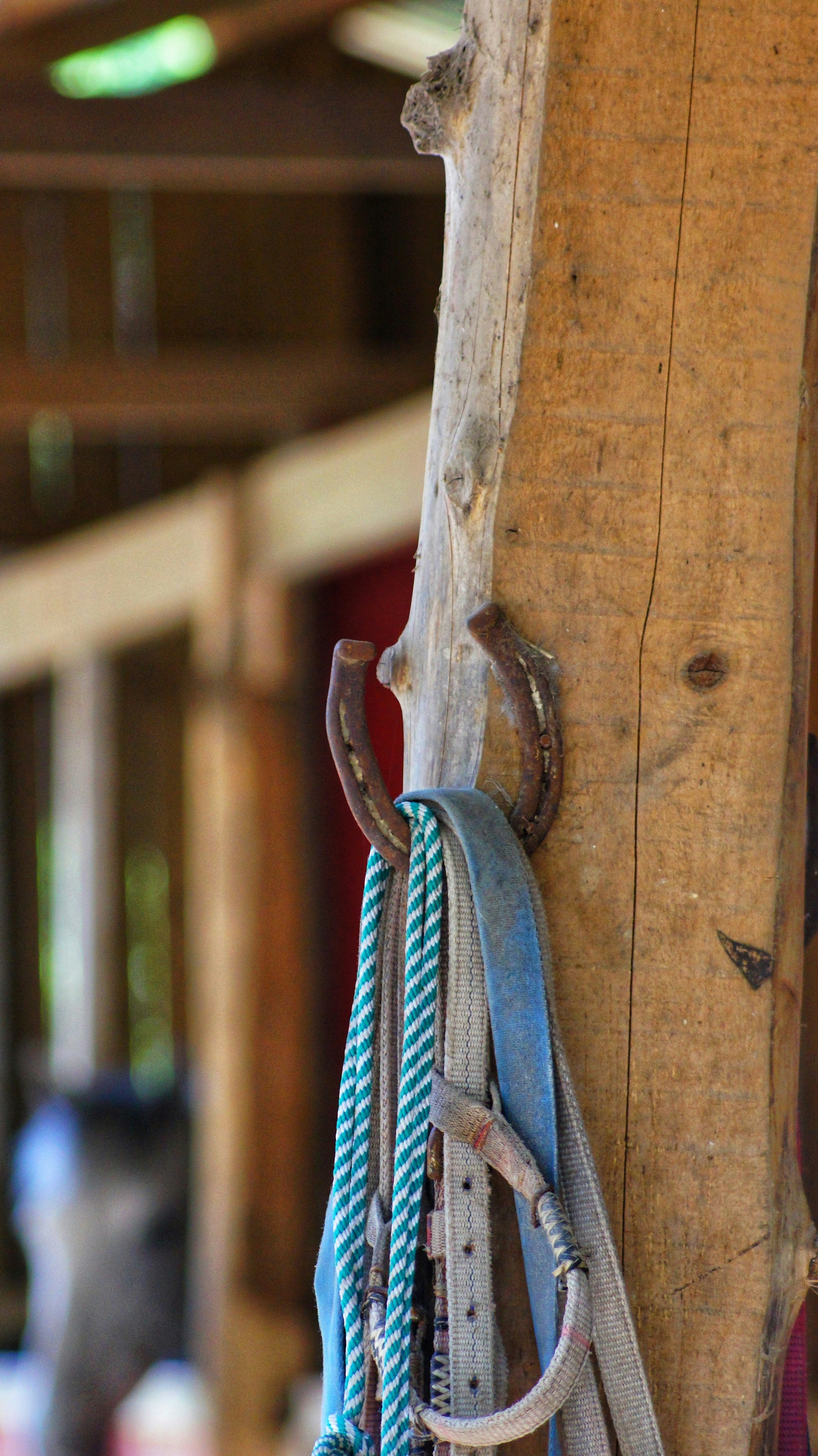 a couple of ties on a wooden pole