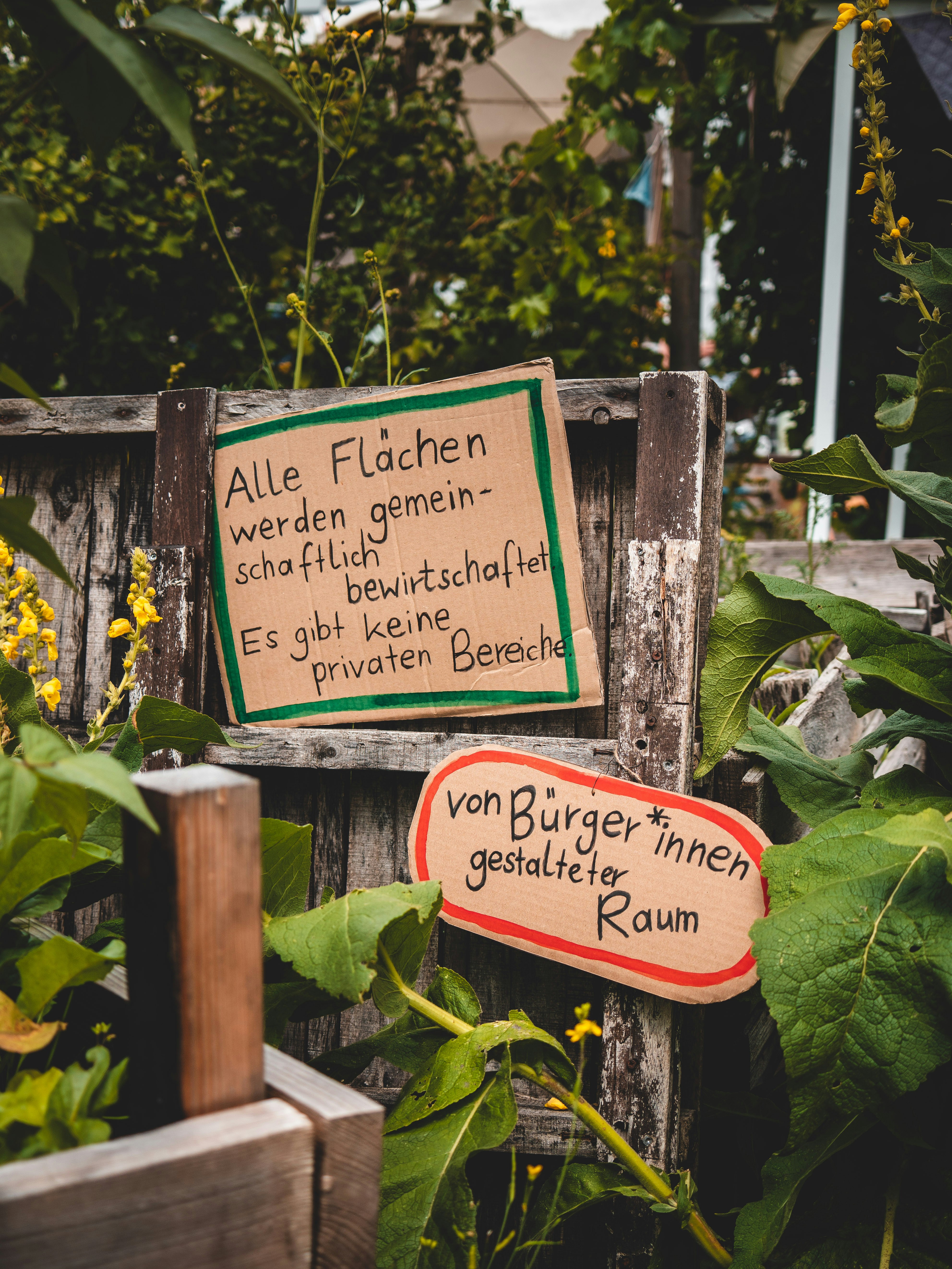Green-Framed Sign on a Weathered Garden Fence Amid Vines