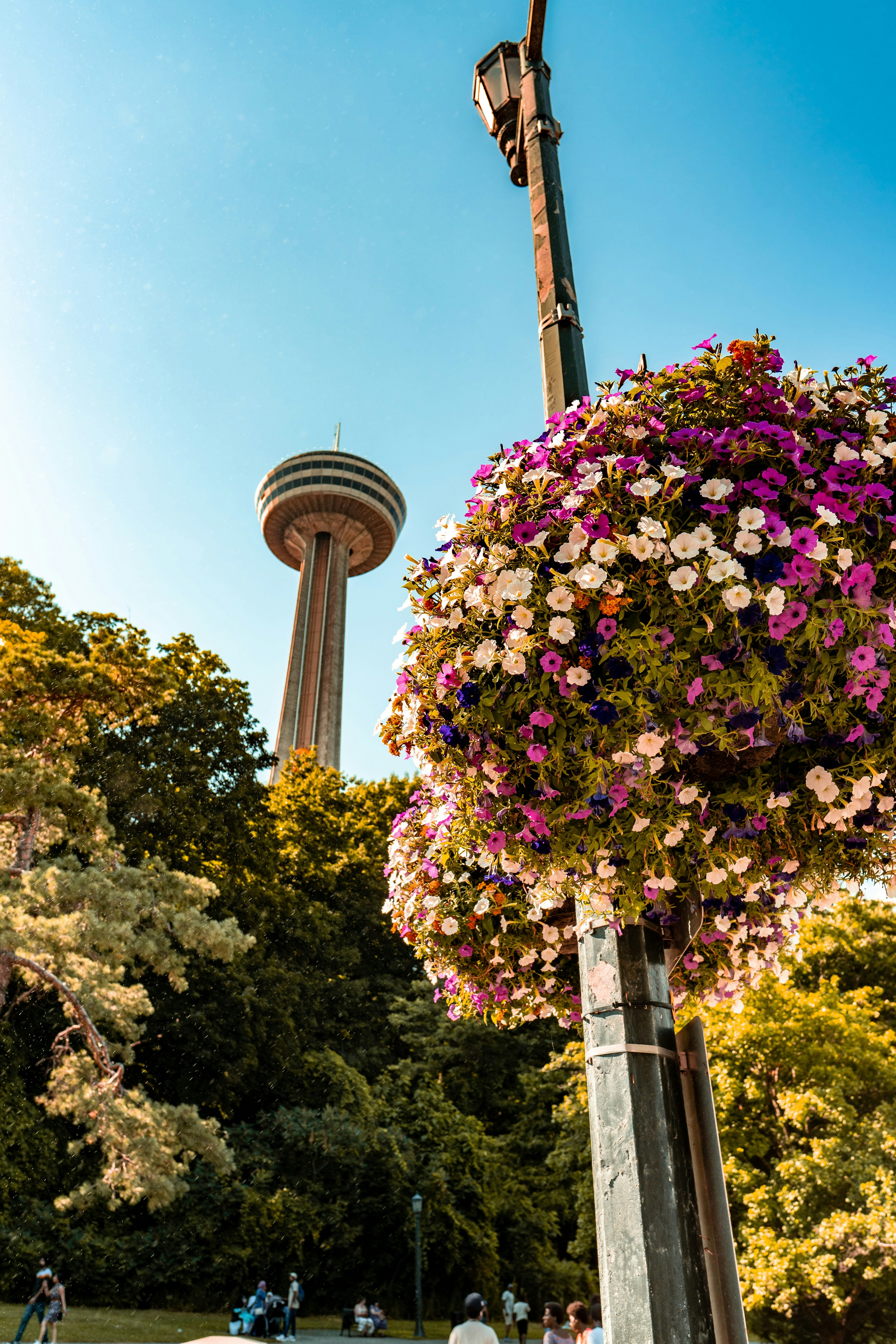 A tall tower with flowers in front of it photo – Free Flower Image on ...