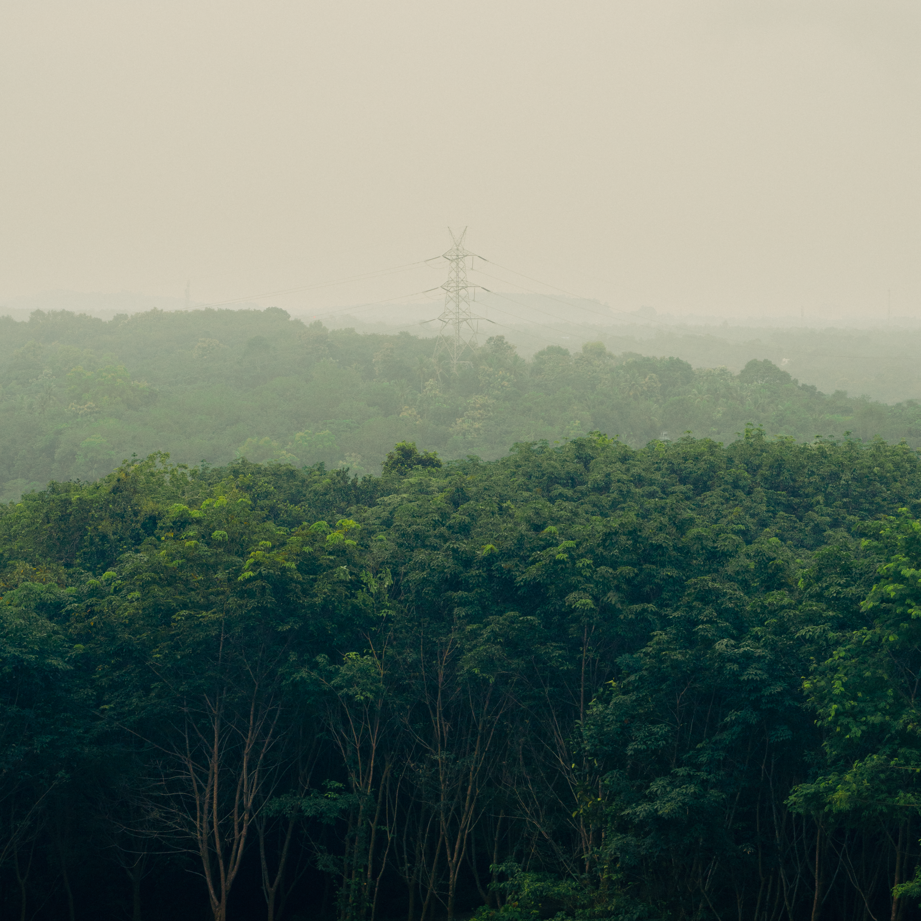 FM Broadcast Tower Beyond a Sea of Green