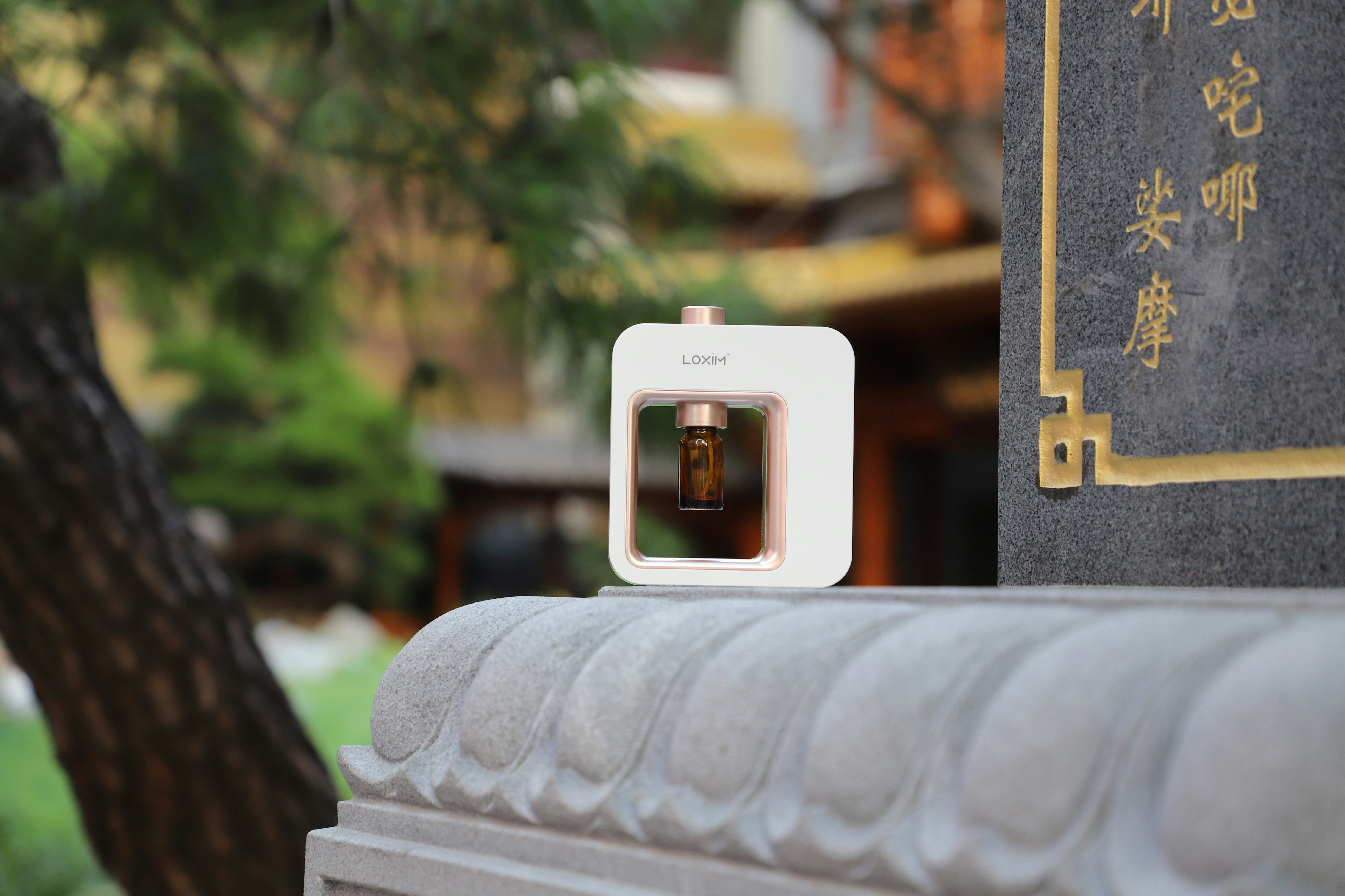 A person holding a watch photo – Free Pride aroma diffuser Image on ...