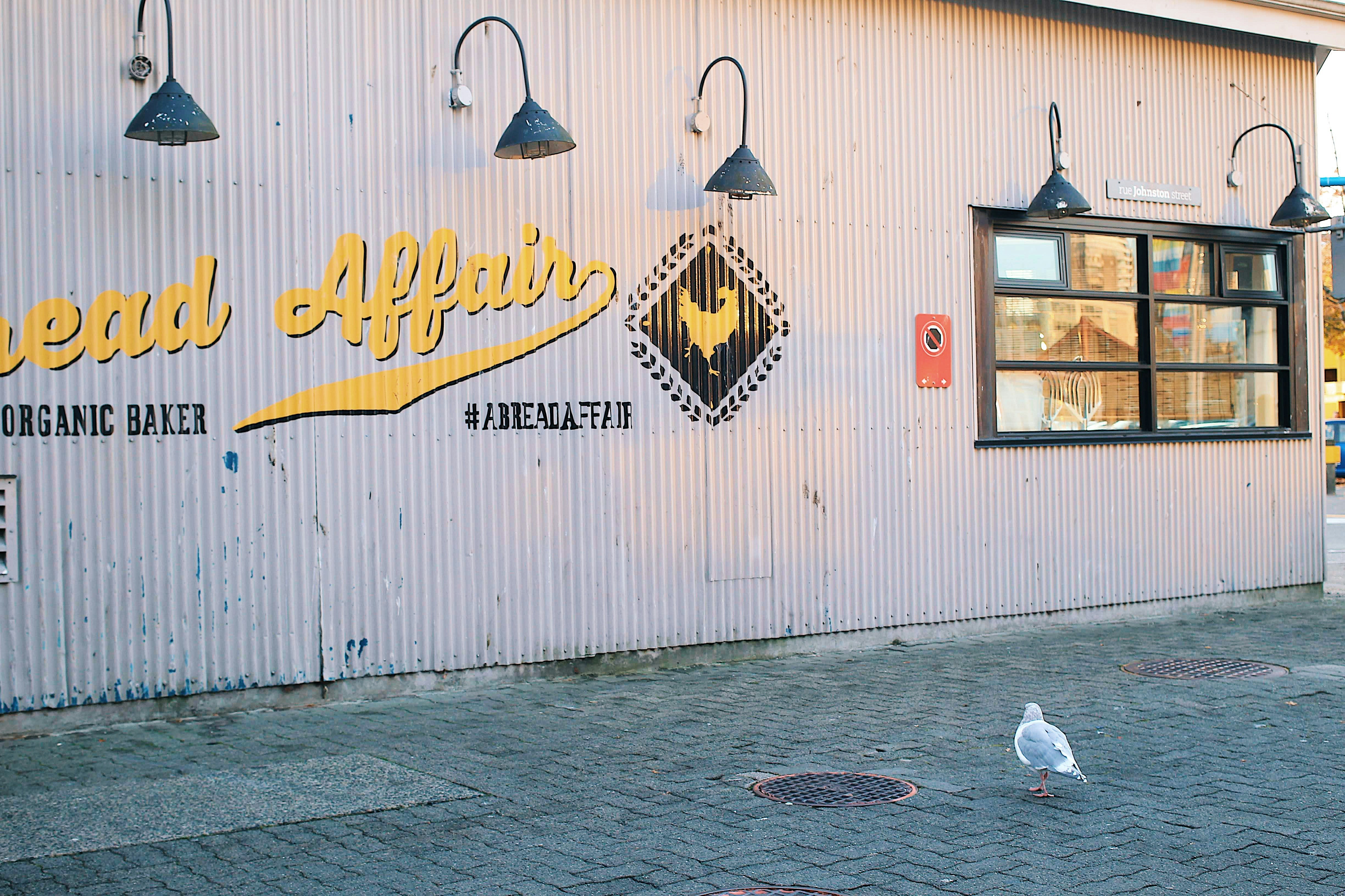 A seagull wanders near a charming bakery facade adorned with vibrant signage and ambient lighting. The scene captures a moment of urban life.