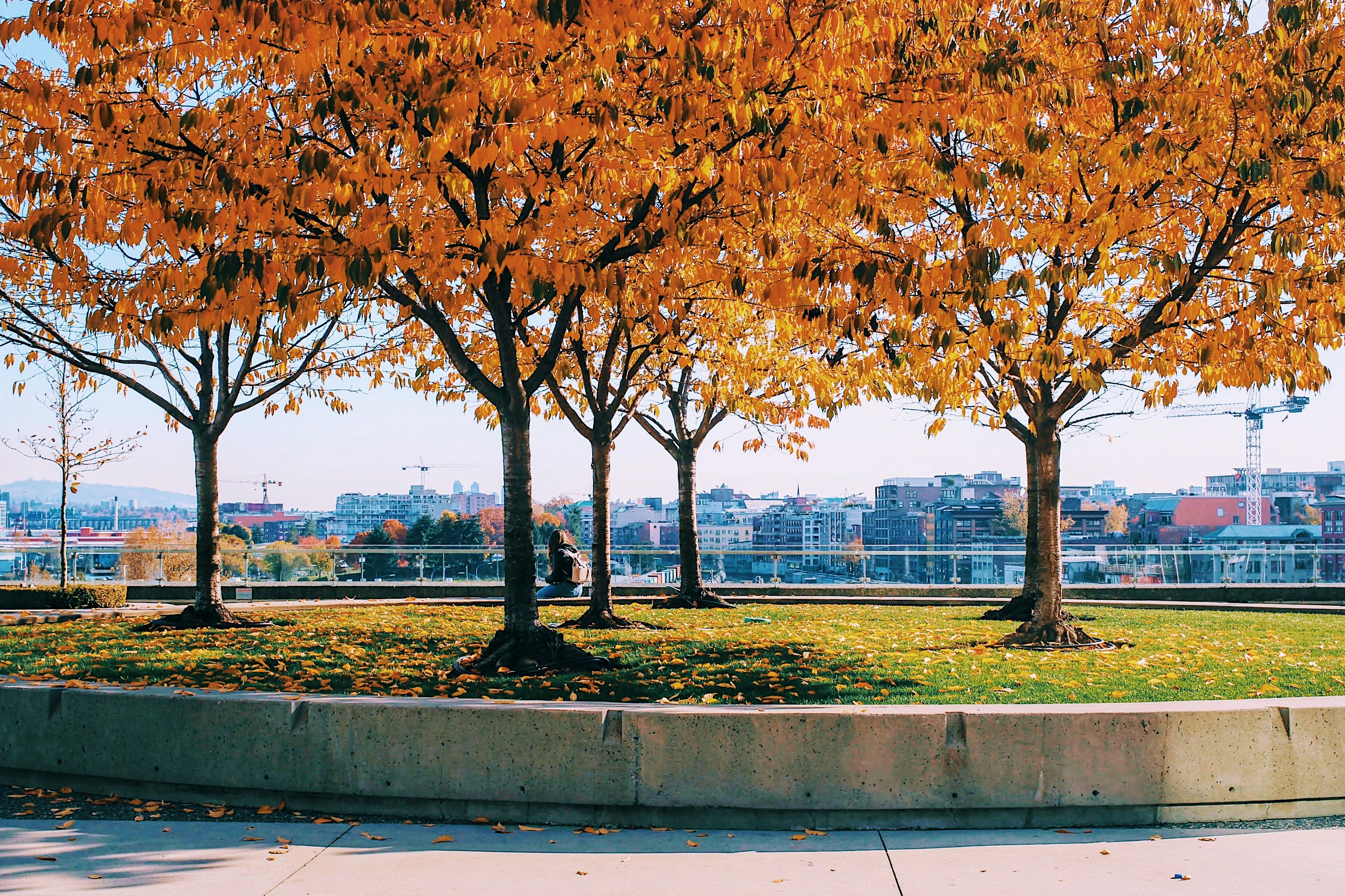 Photo by Meg Jenson with Canon EOS-1D Mark IV