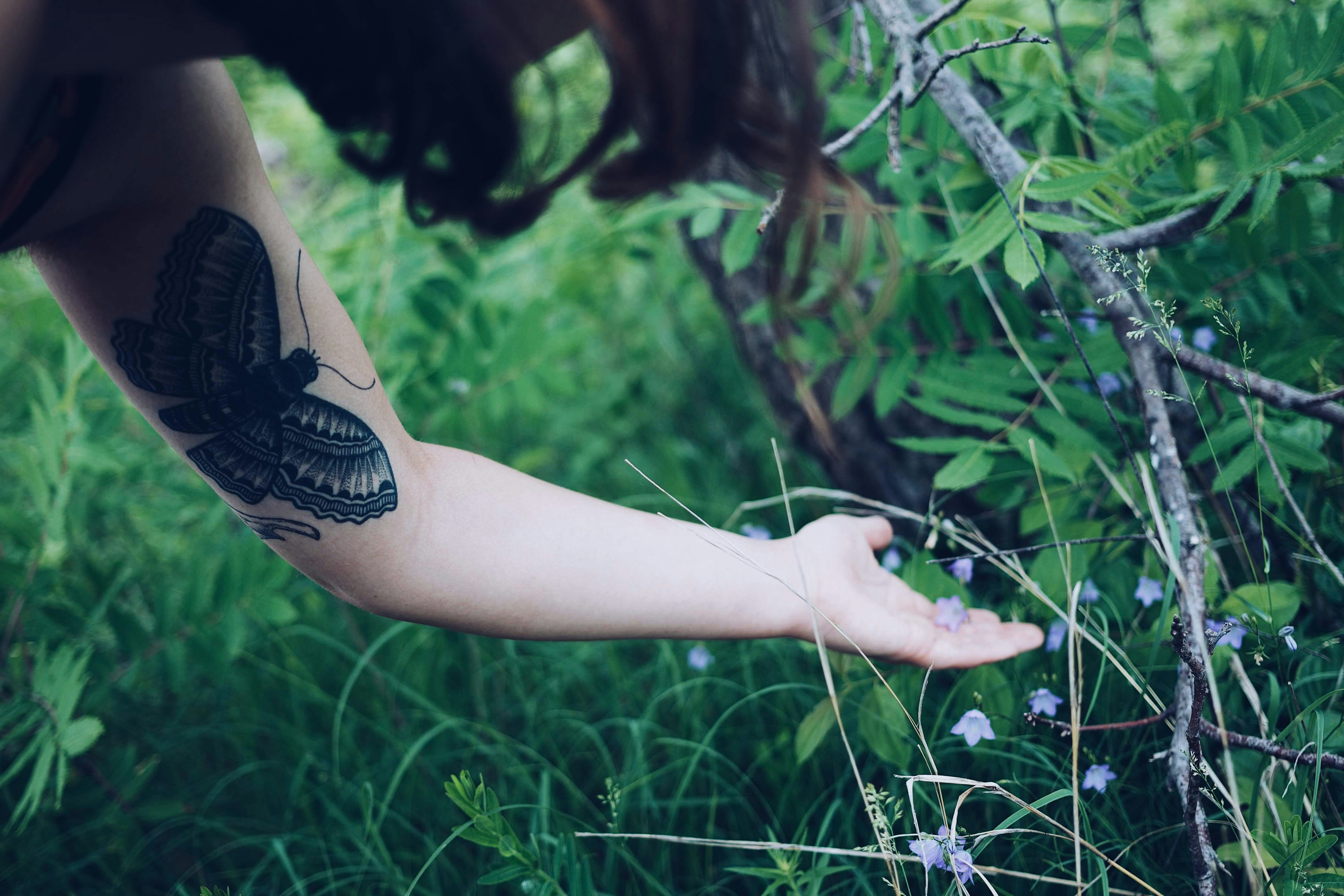 A hand reaches toward delicate purple flowers, framed by lush green foliage, with a butterfly tattoo visible on the arm. 