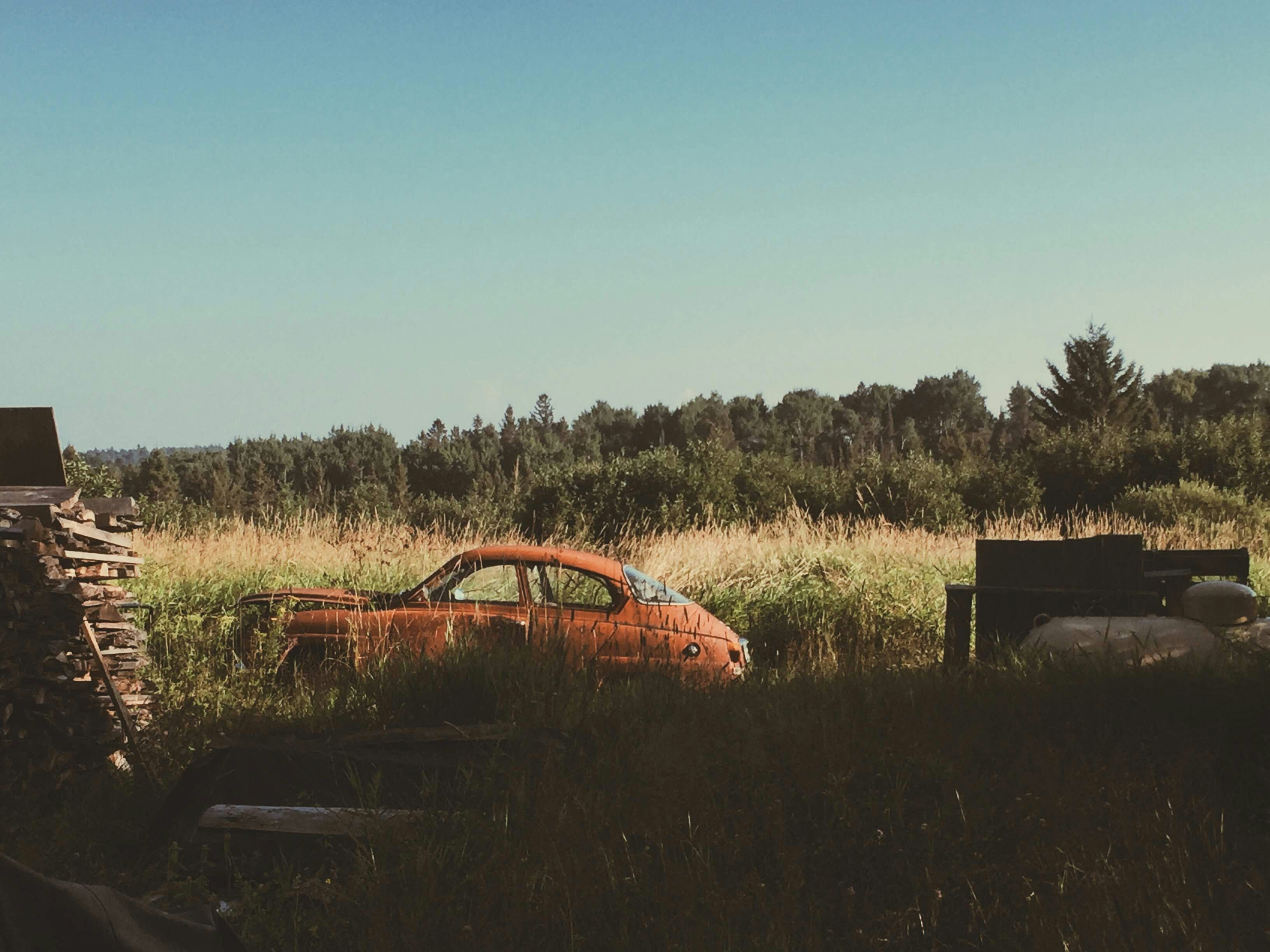 An old, rusted orange car partially hidden in tall grass, surrounded by a serene landscape of trees and blue sky.