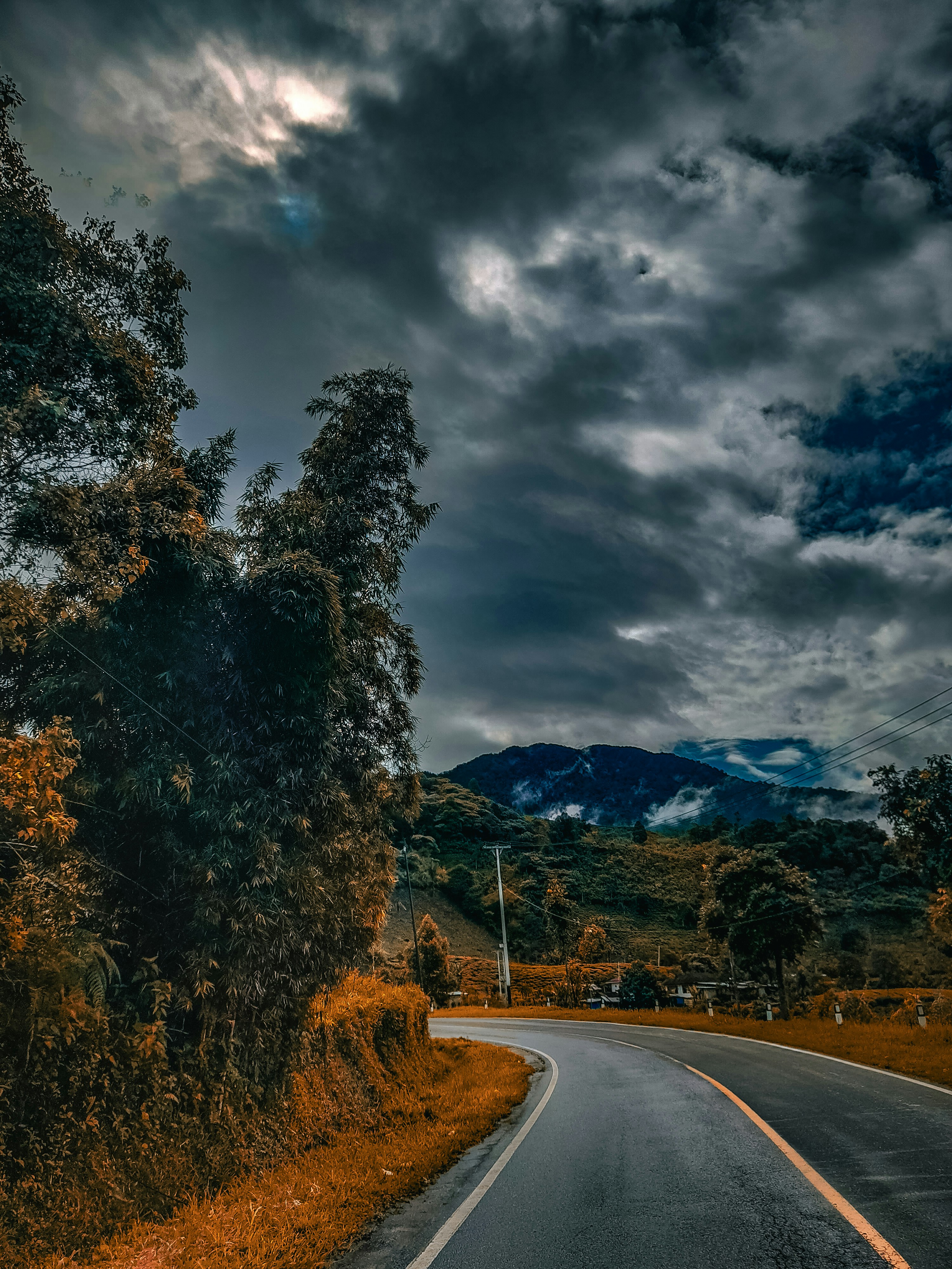 A road with trees on the side photo – Free Alahan panjang Image on Unsplash