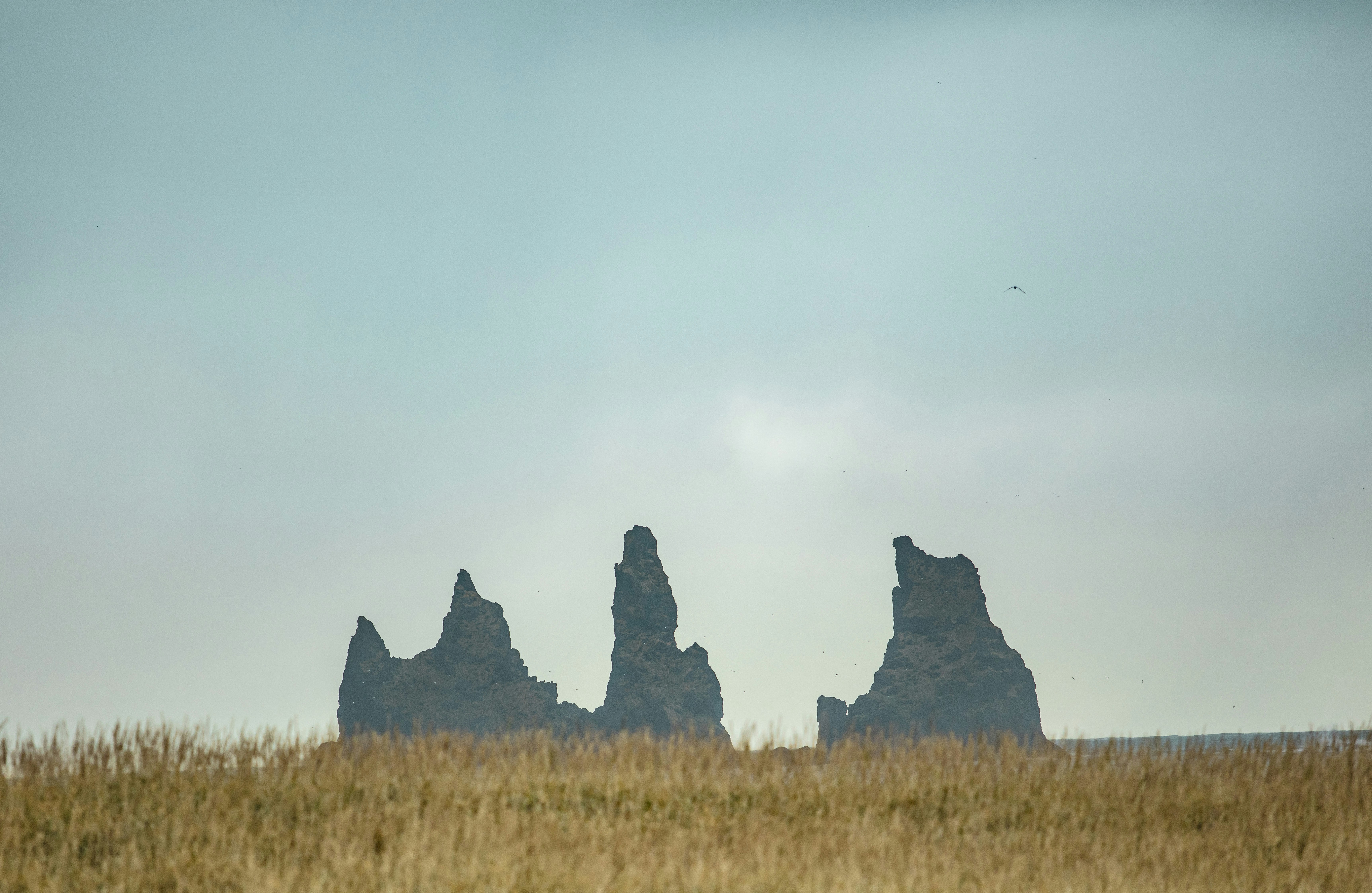 A group of tall rocks in a field photo – Free Portrait Image on Unsplash