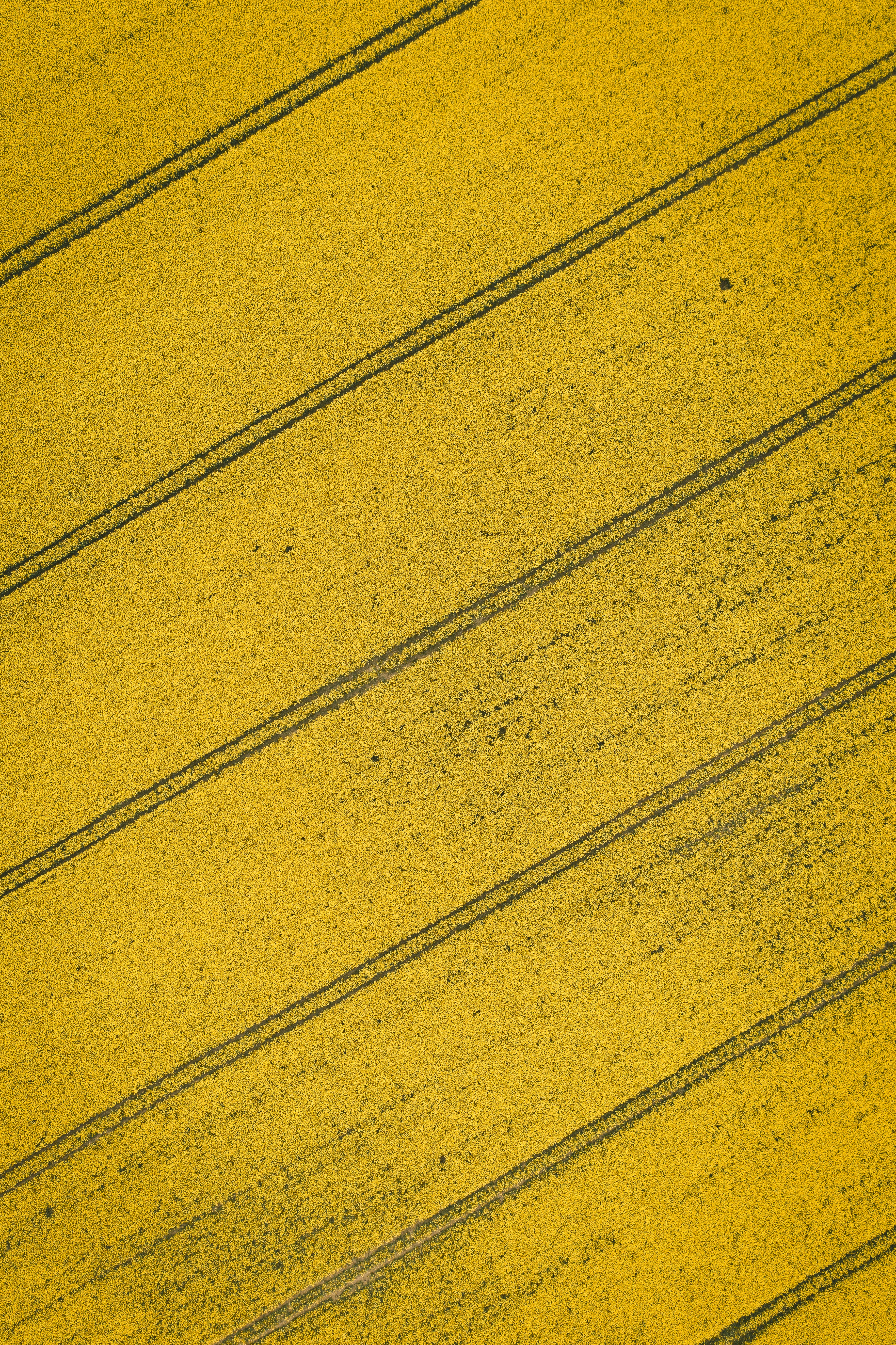 a close up of a yellow surface