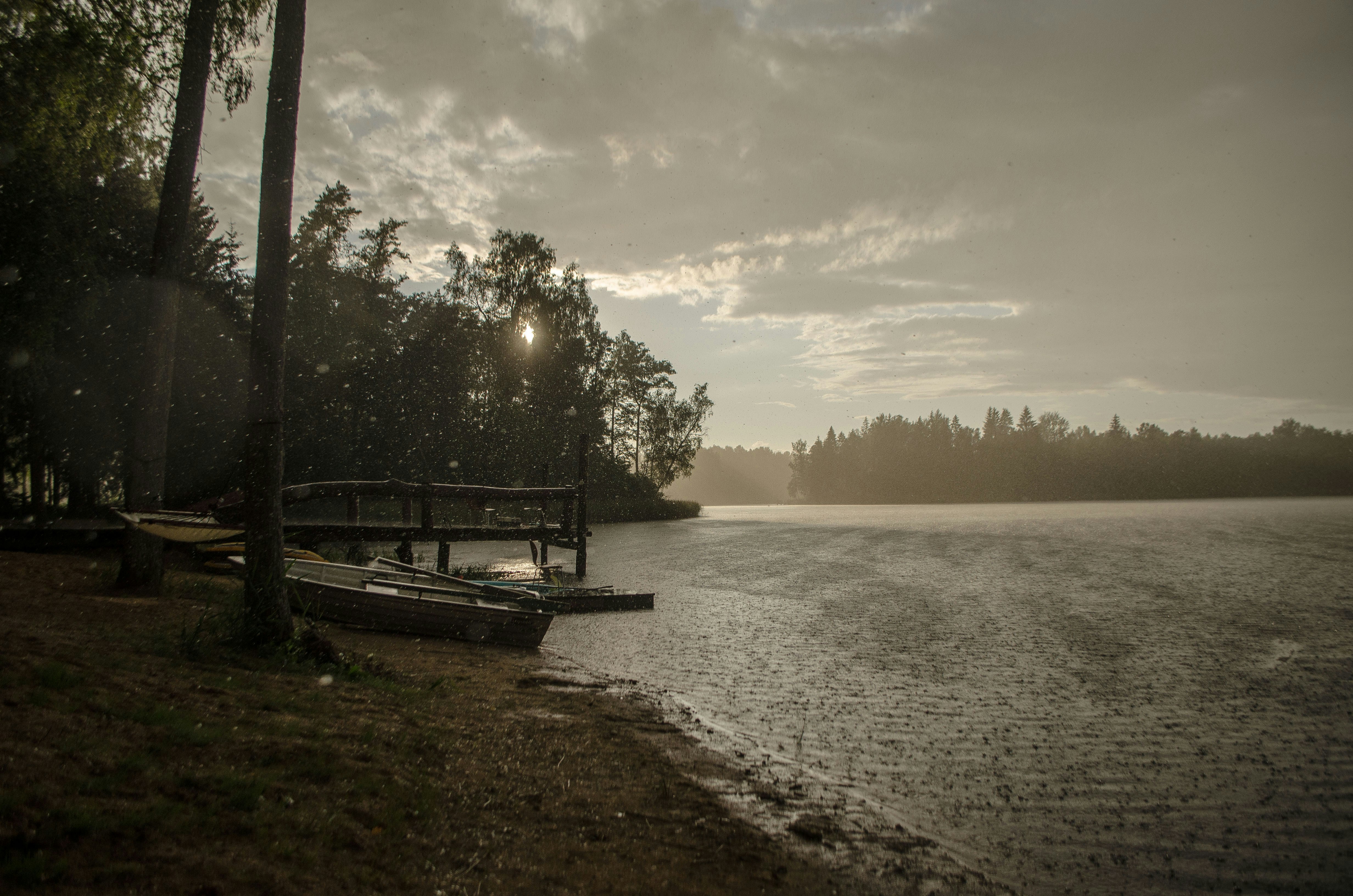 Sepia Quiet: A Lakeside Dock Framed by Pines and a Slanting Sun