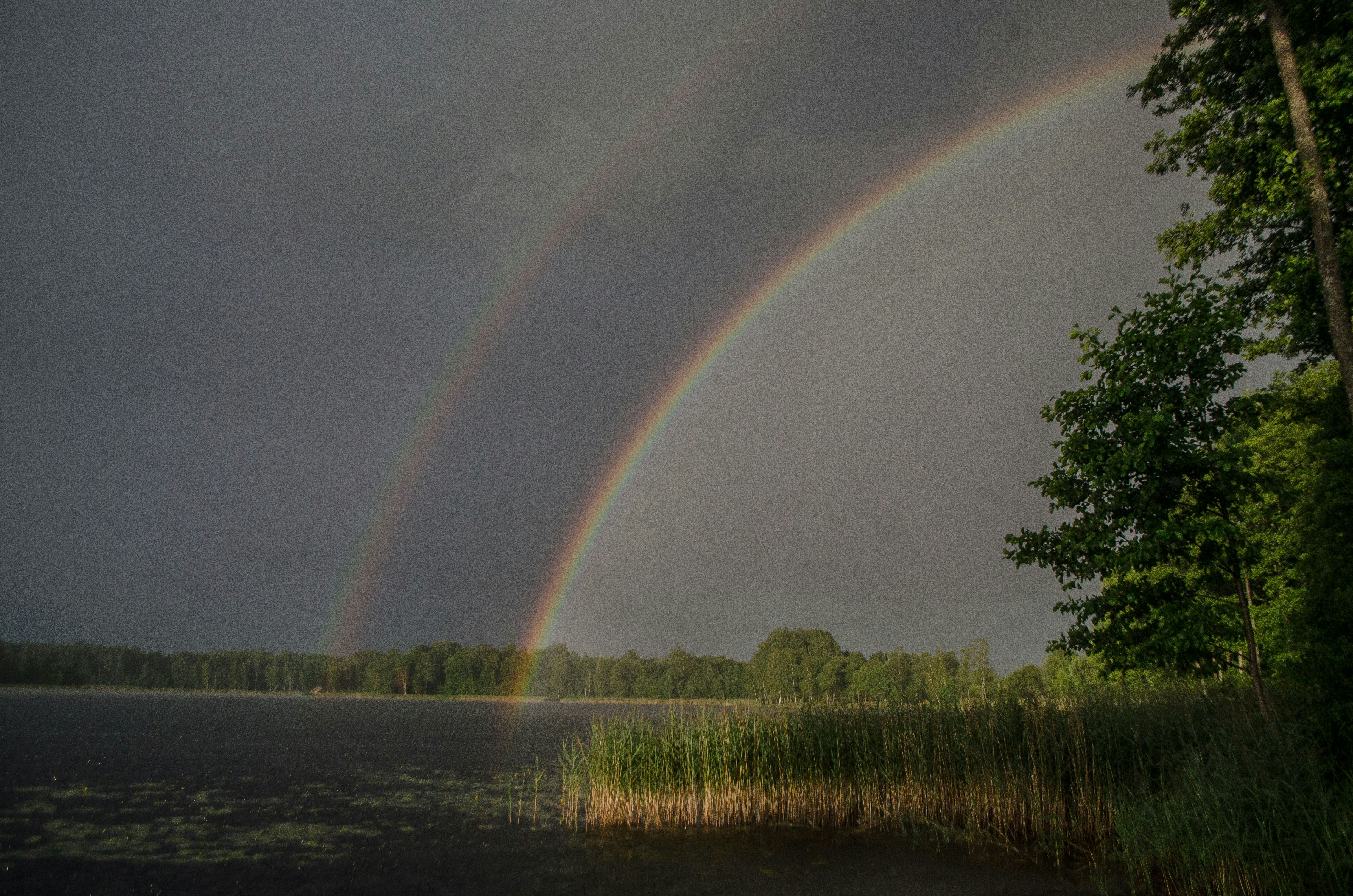 Twin Rainbows Over a Reedy Lakeshore at Dusk