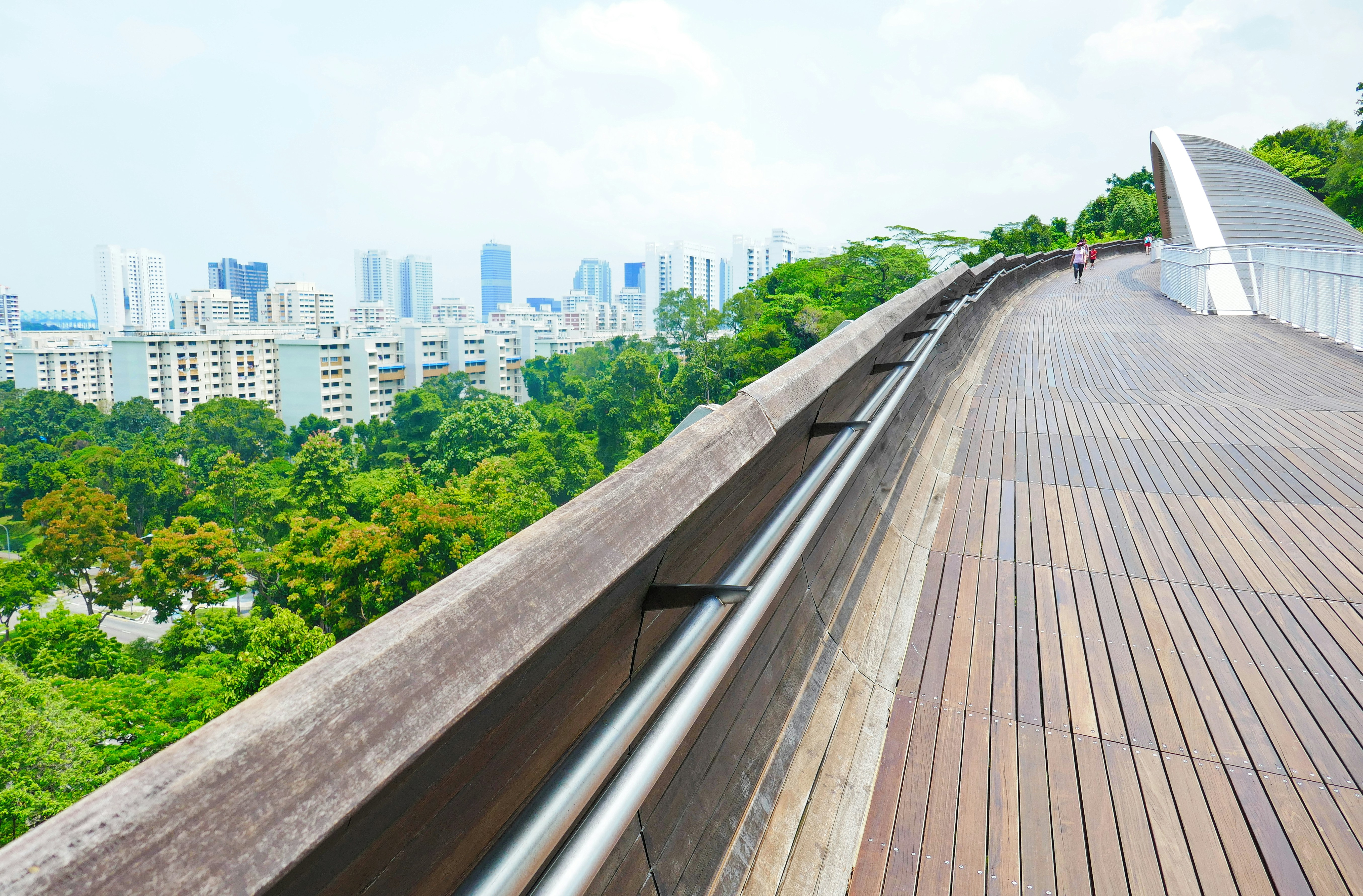 Ridgeway Walk: A Curved Promenade Overlooking a Cityscape