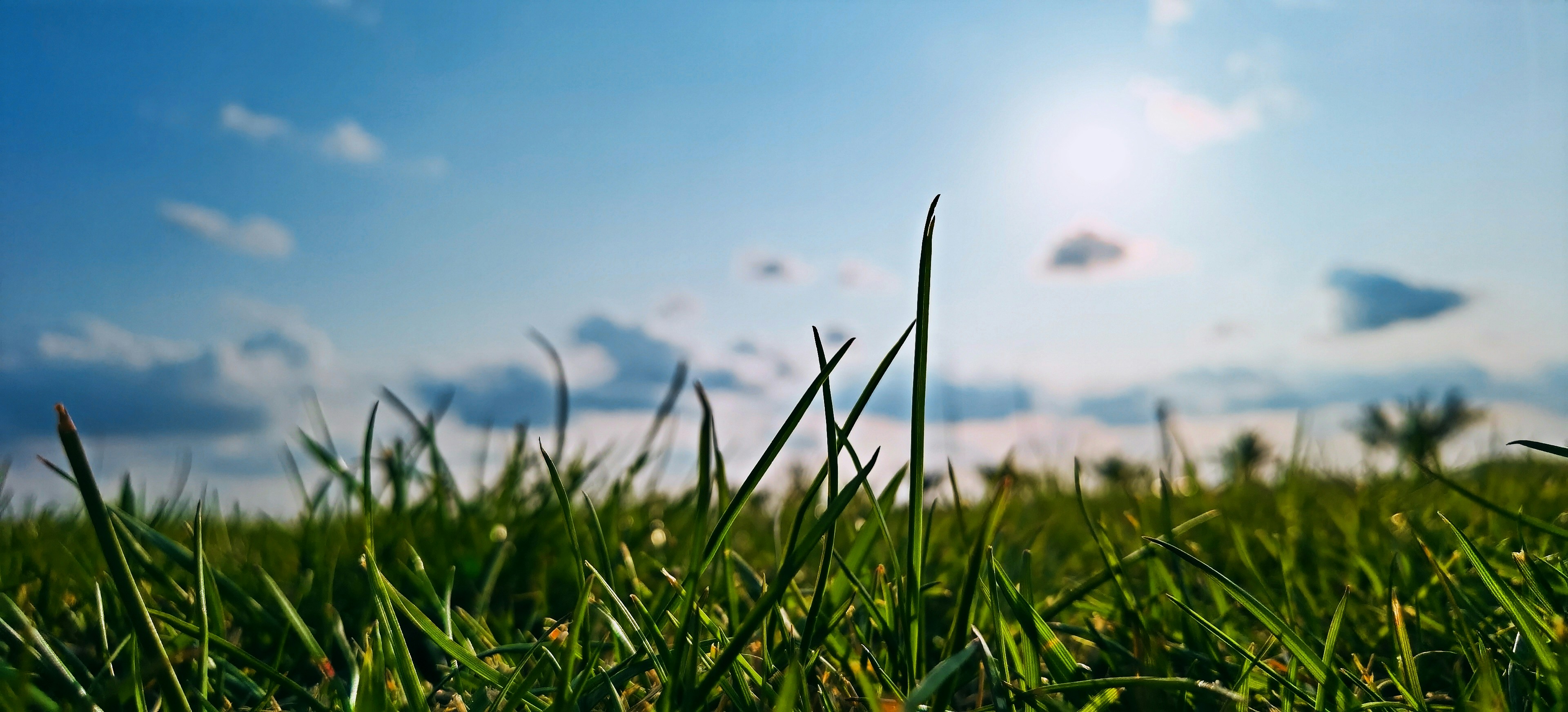 A field of grass with a blue sky in the background photo – Free Erbil ...