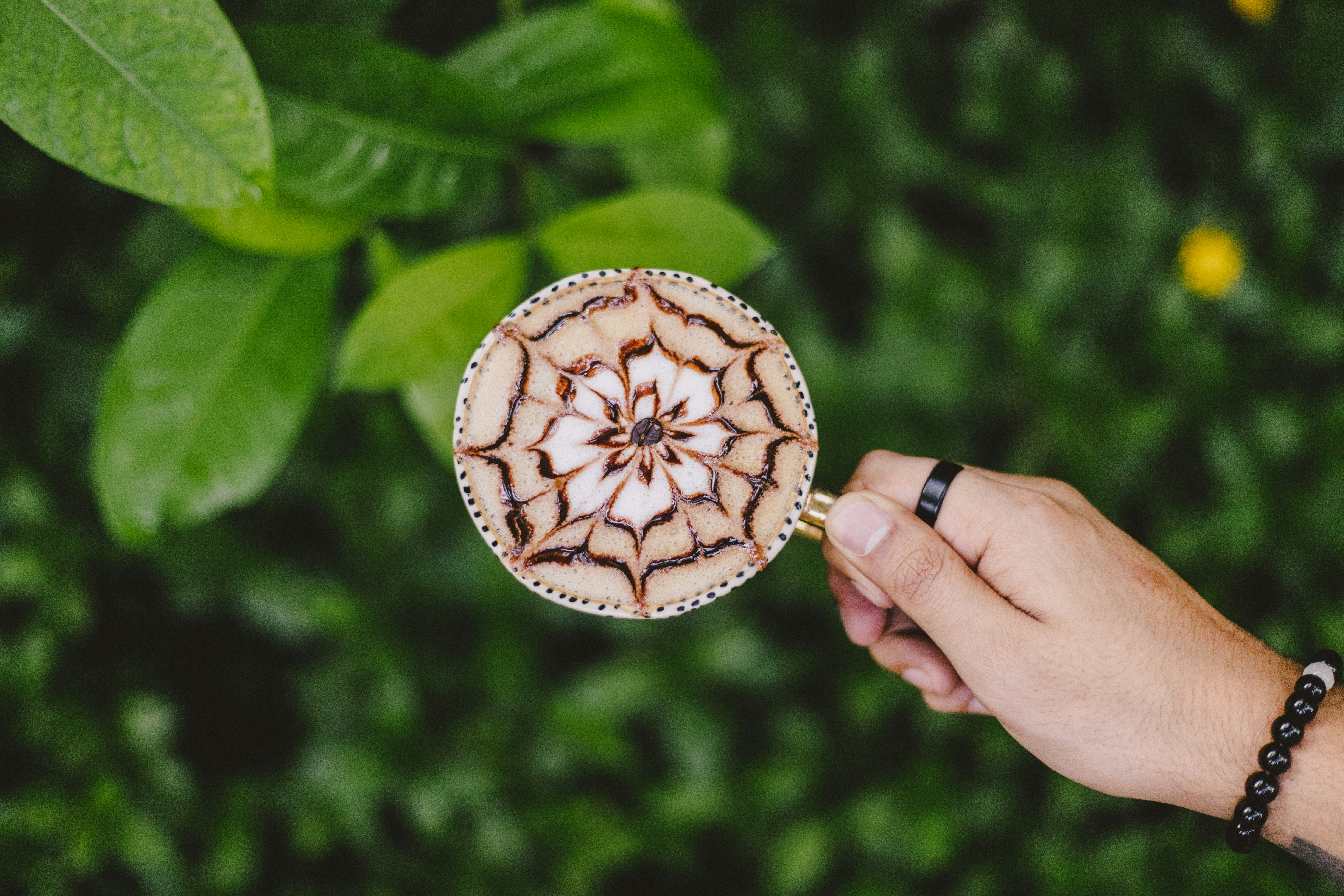 Starburst Latte Art in a Verdant Frame
