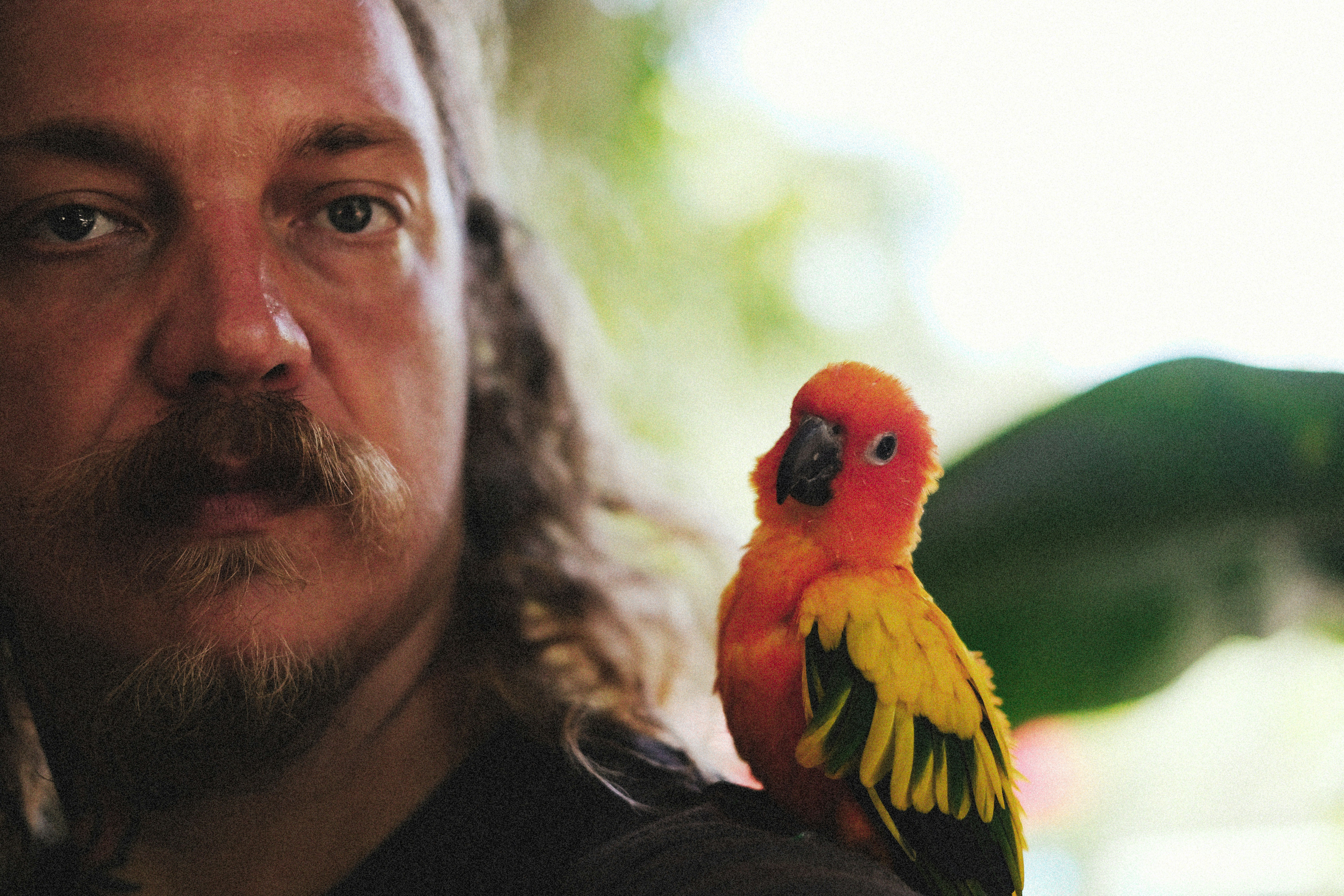 A man with a parrot on his shoulder photo – Free Human Image on Unsplash