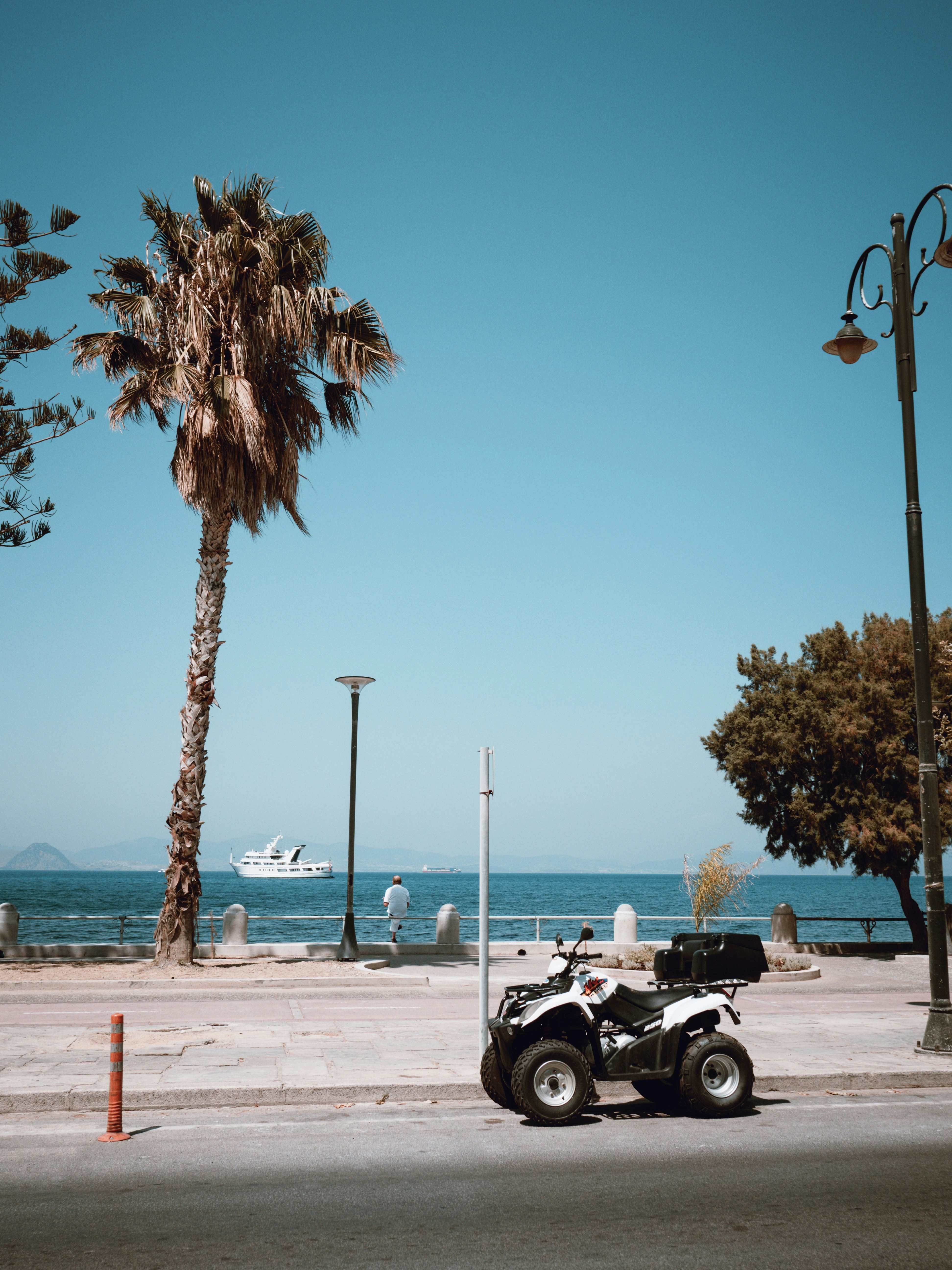 Coastal Contrasts: Palm Shade, Streetlamps, and a Parked ATV