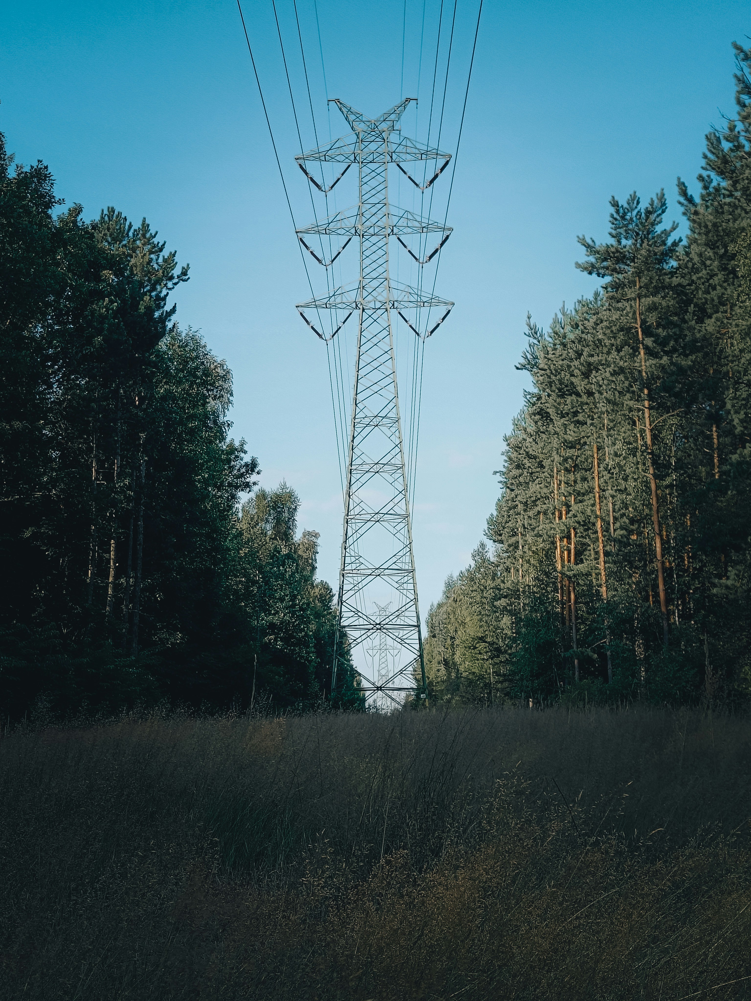 Photo by Spruce with OnePlus Nord 2