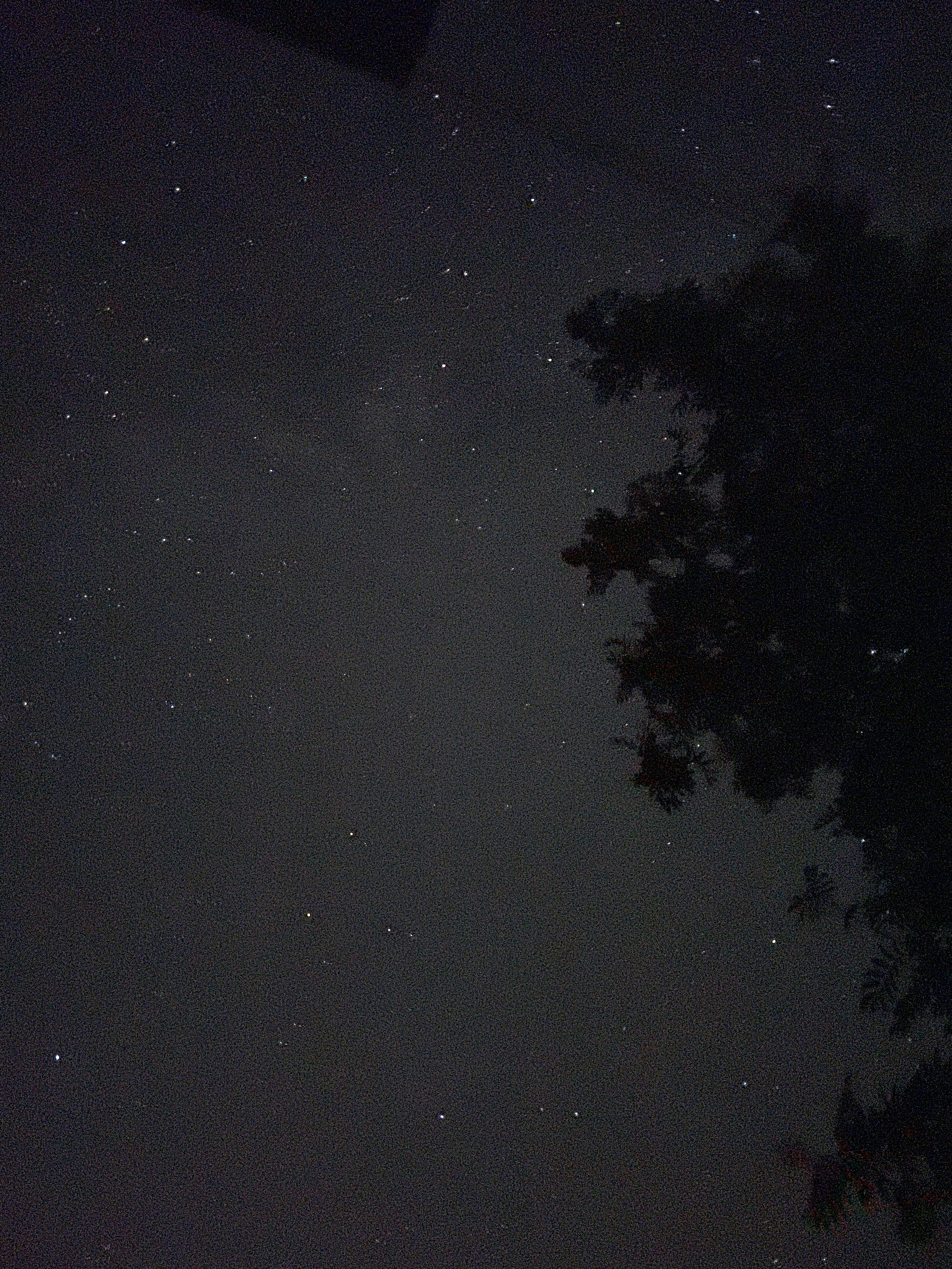 Starry night sky with scattered stars and silhouettes of tree branches framing the view.