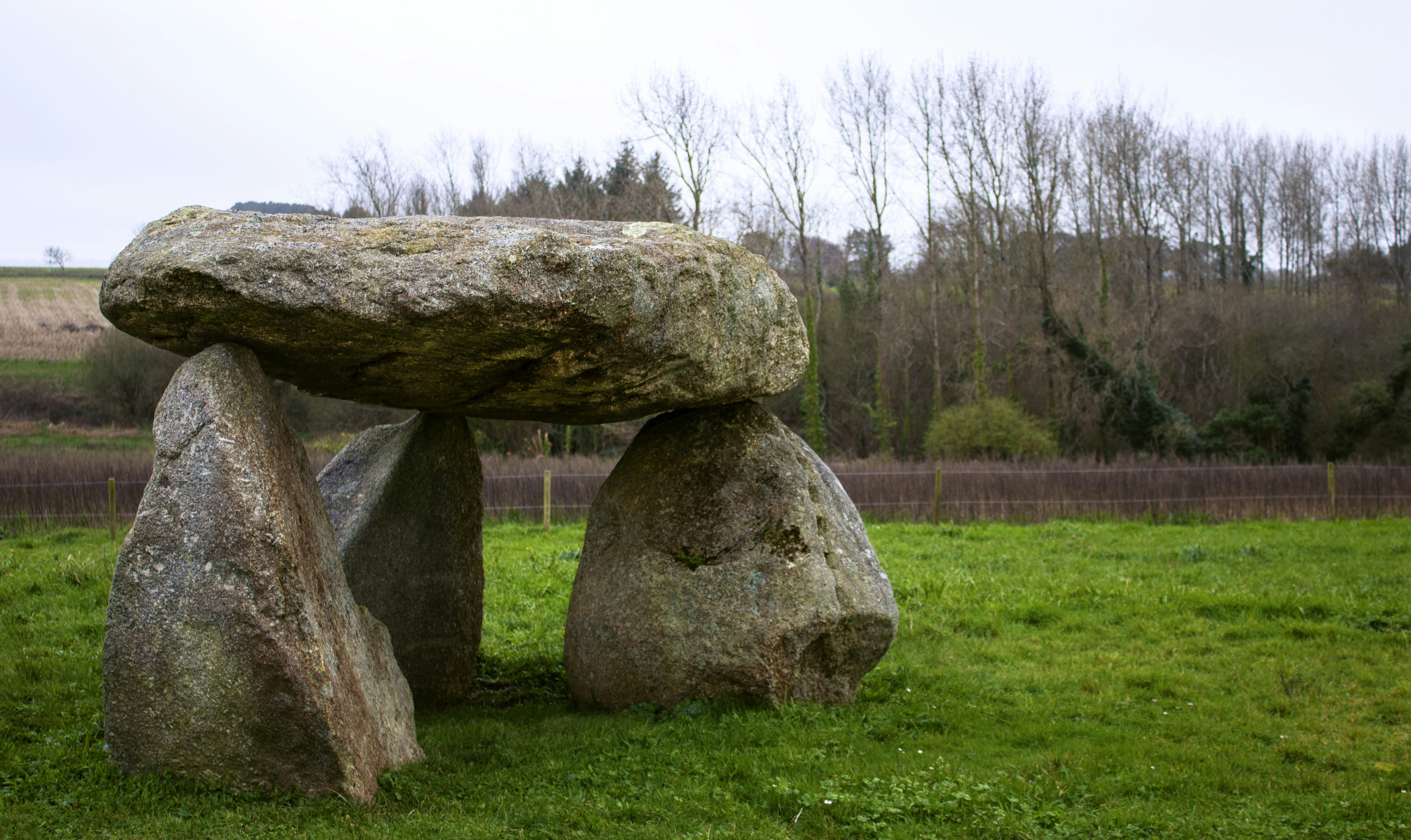 Capstone Balancing Act: A Dolmen Quietly Guarding the Meadow