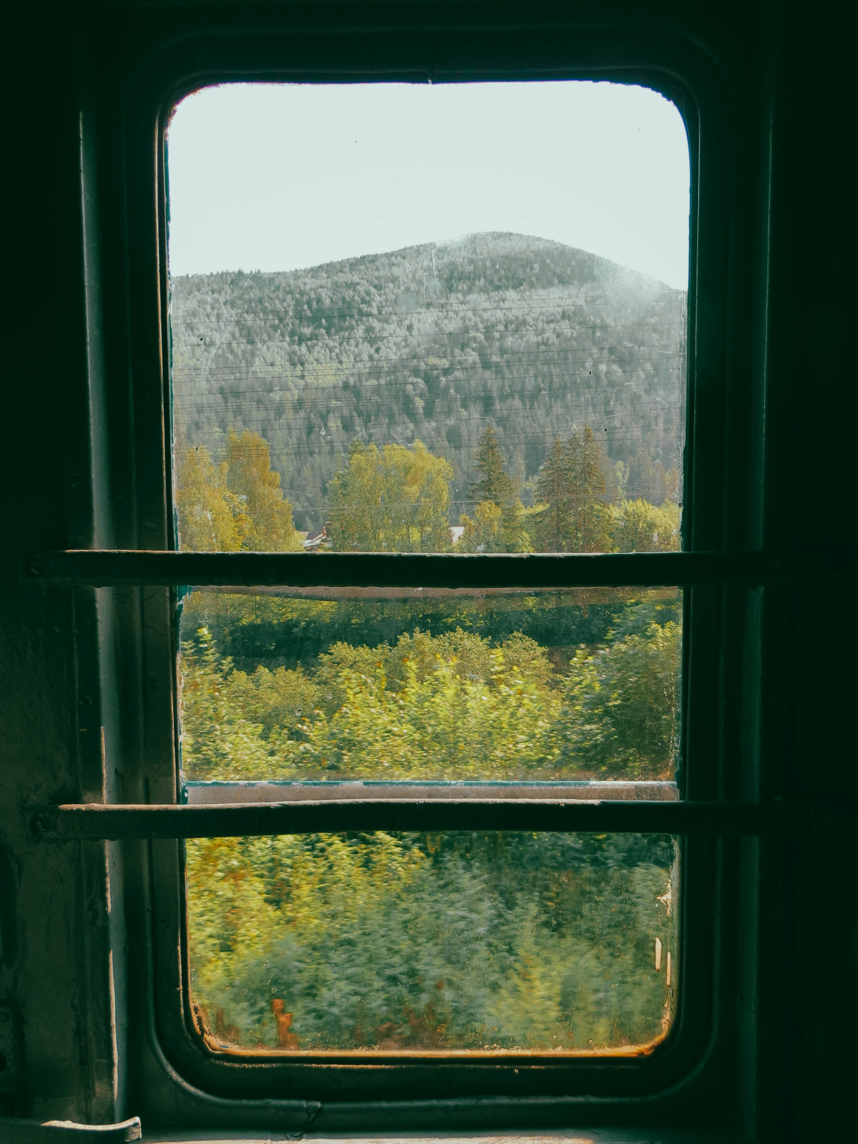 Foto Una ventana con árboles afuera – Imagen Óblast de Zakarpattia ...