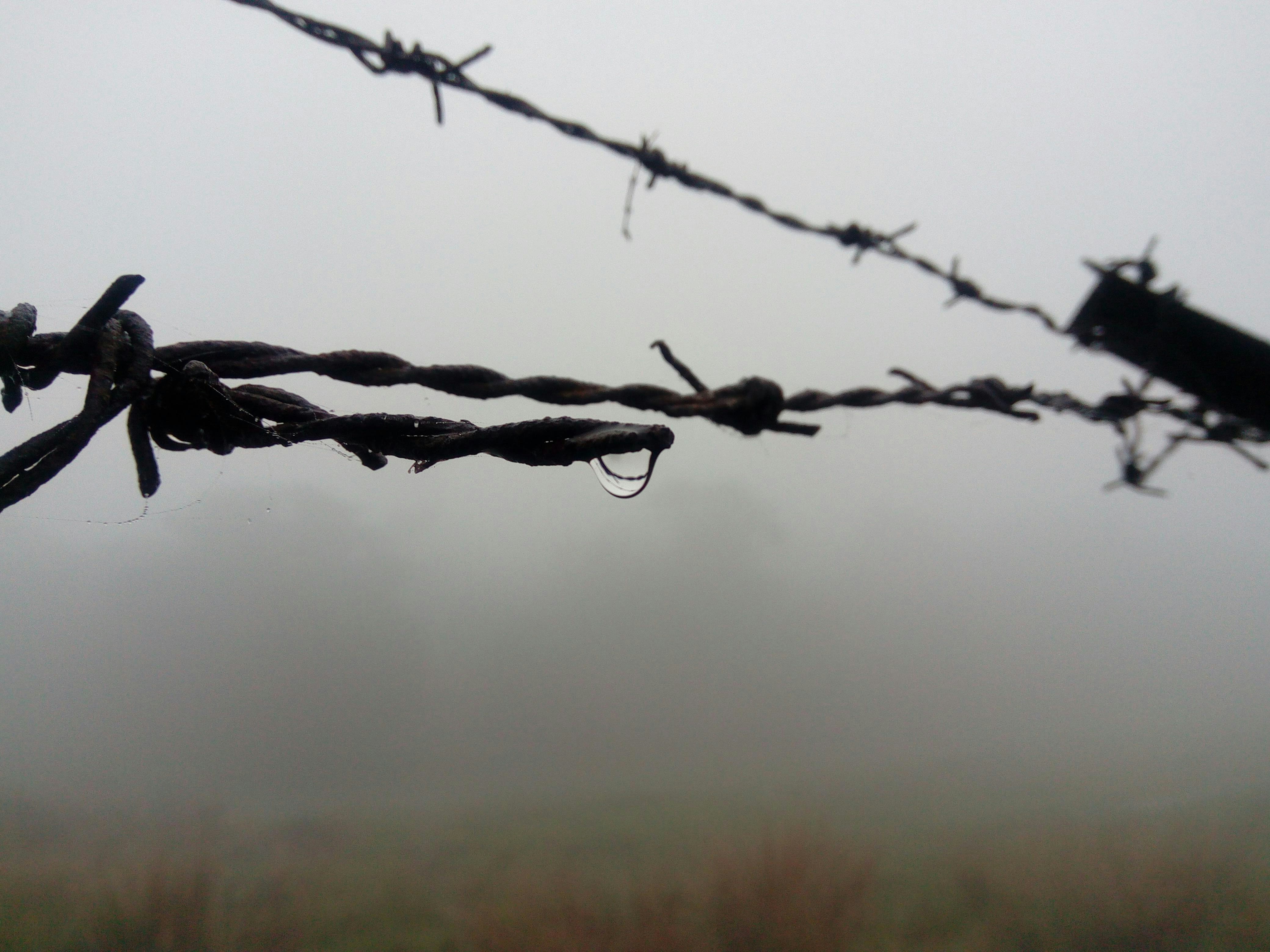 Is a winter morning.