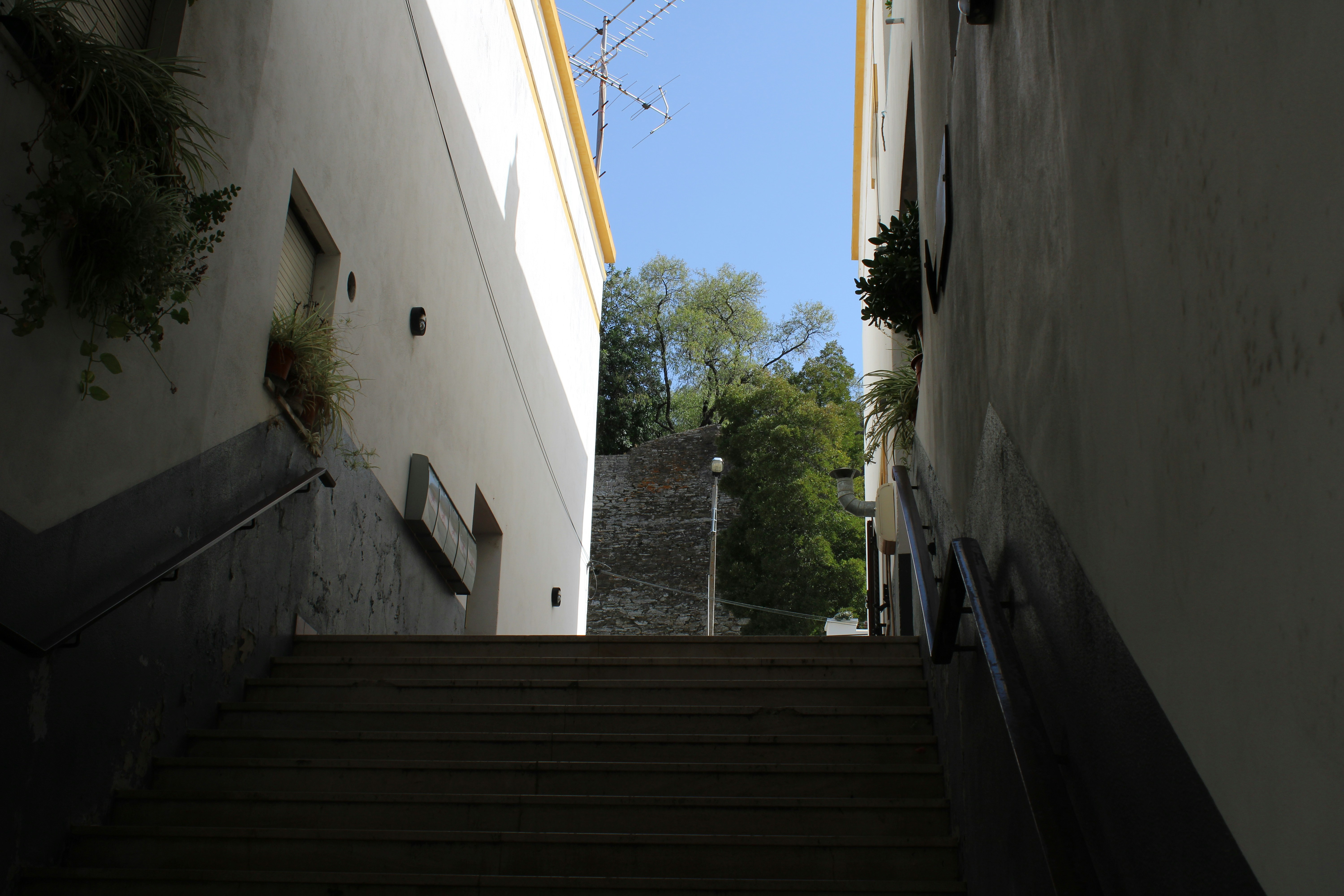 Staircase to the Sky: A sunlit ascent between pale walls