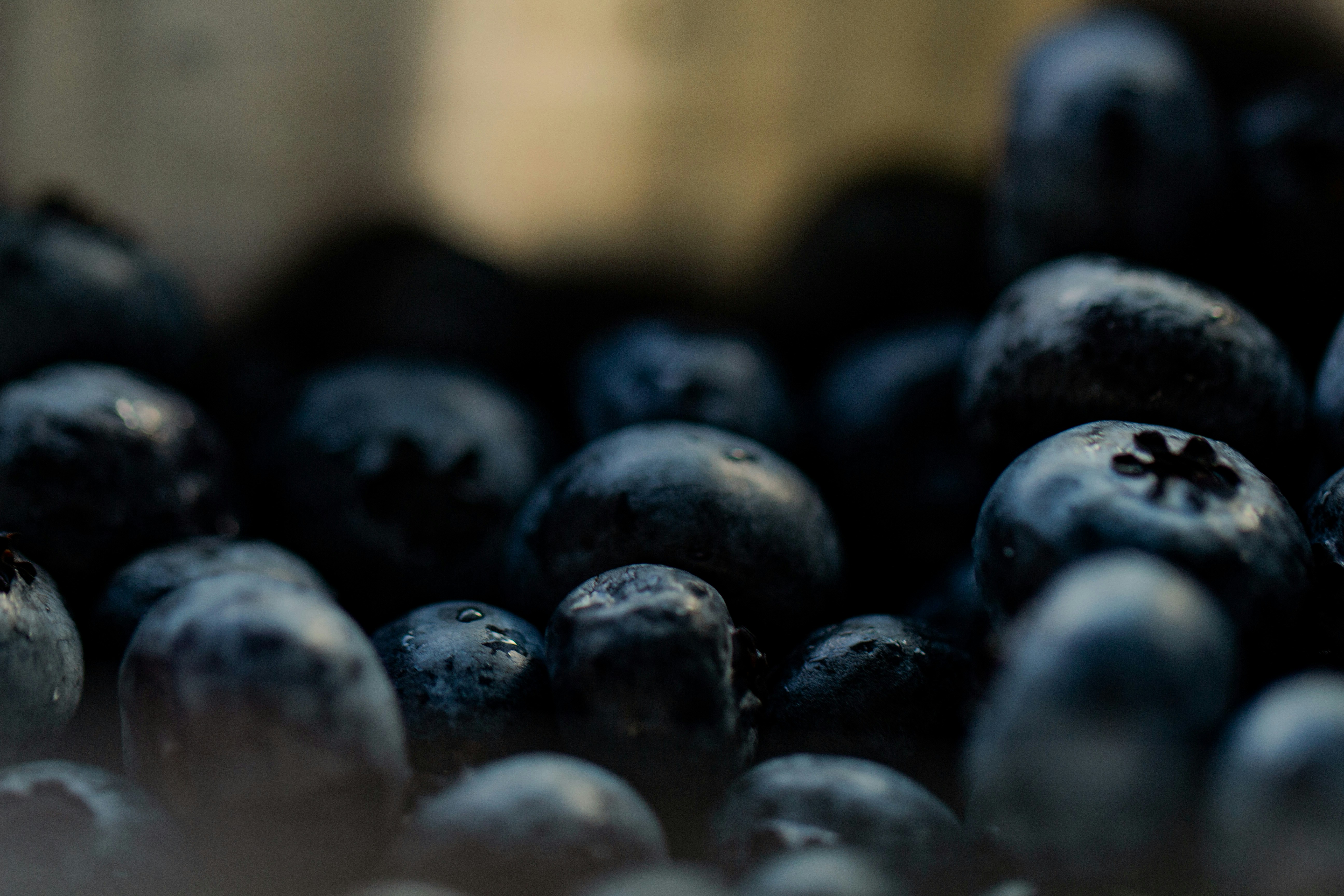A close up of some rocks photo – Free Blueberry Image on Unsplash