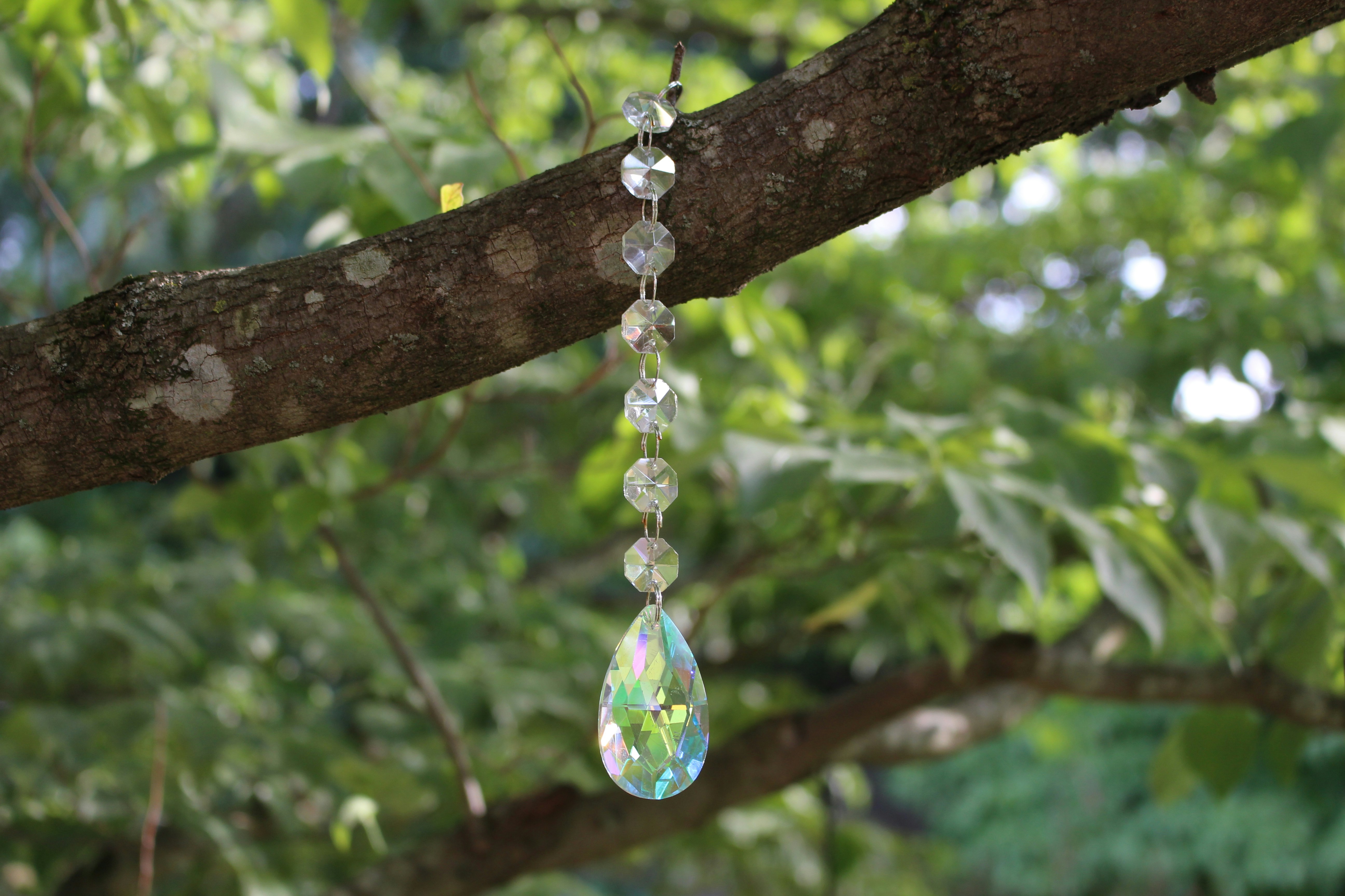 Crystal hanging from tree branch