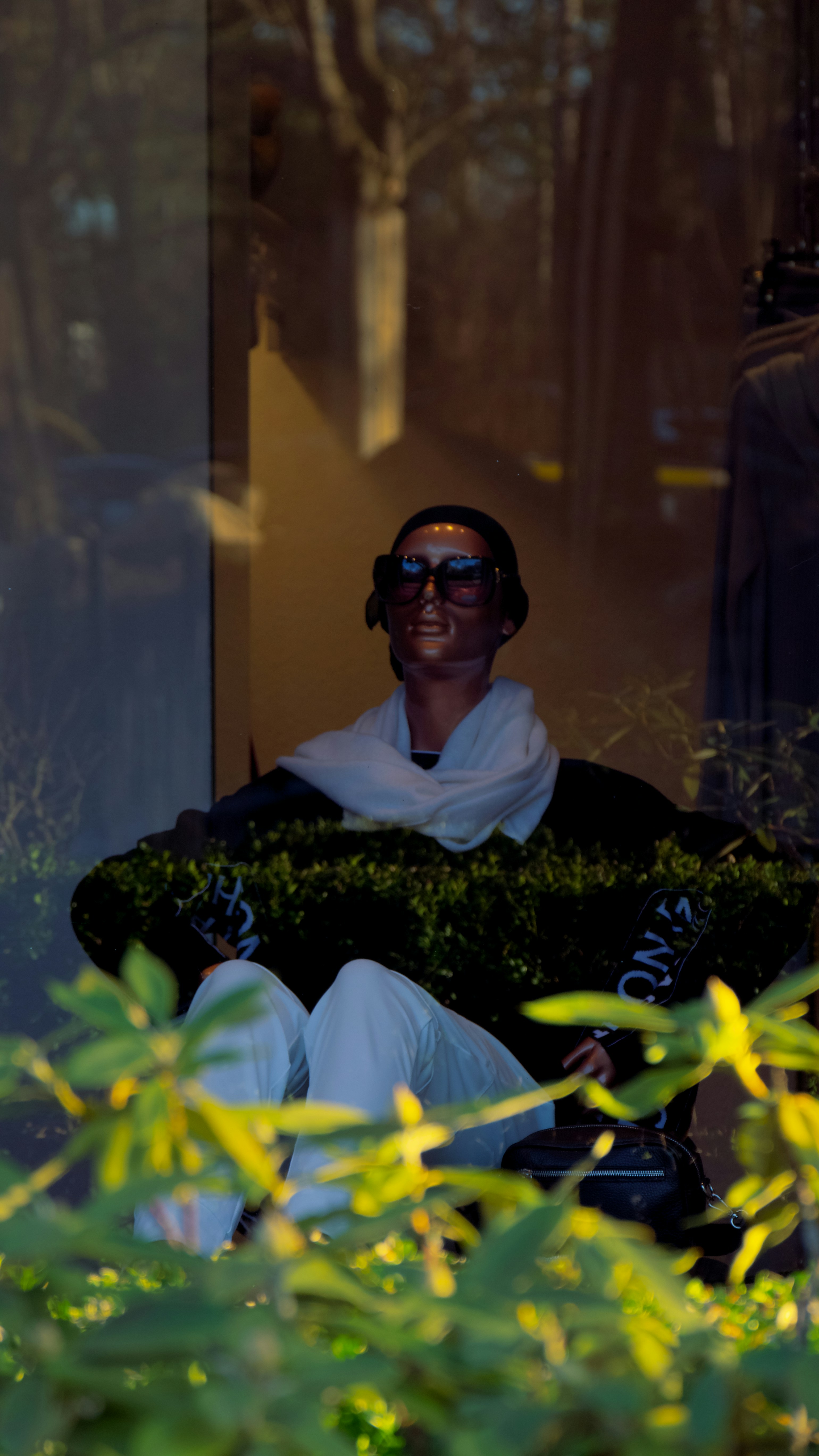 Muted Confidence: A Quiet Portrait Behind Glass