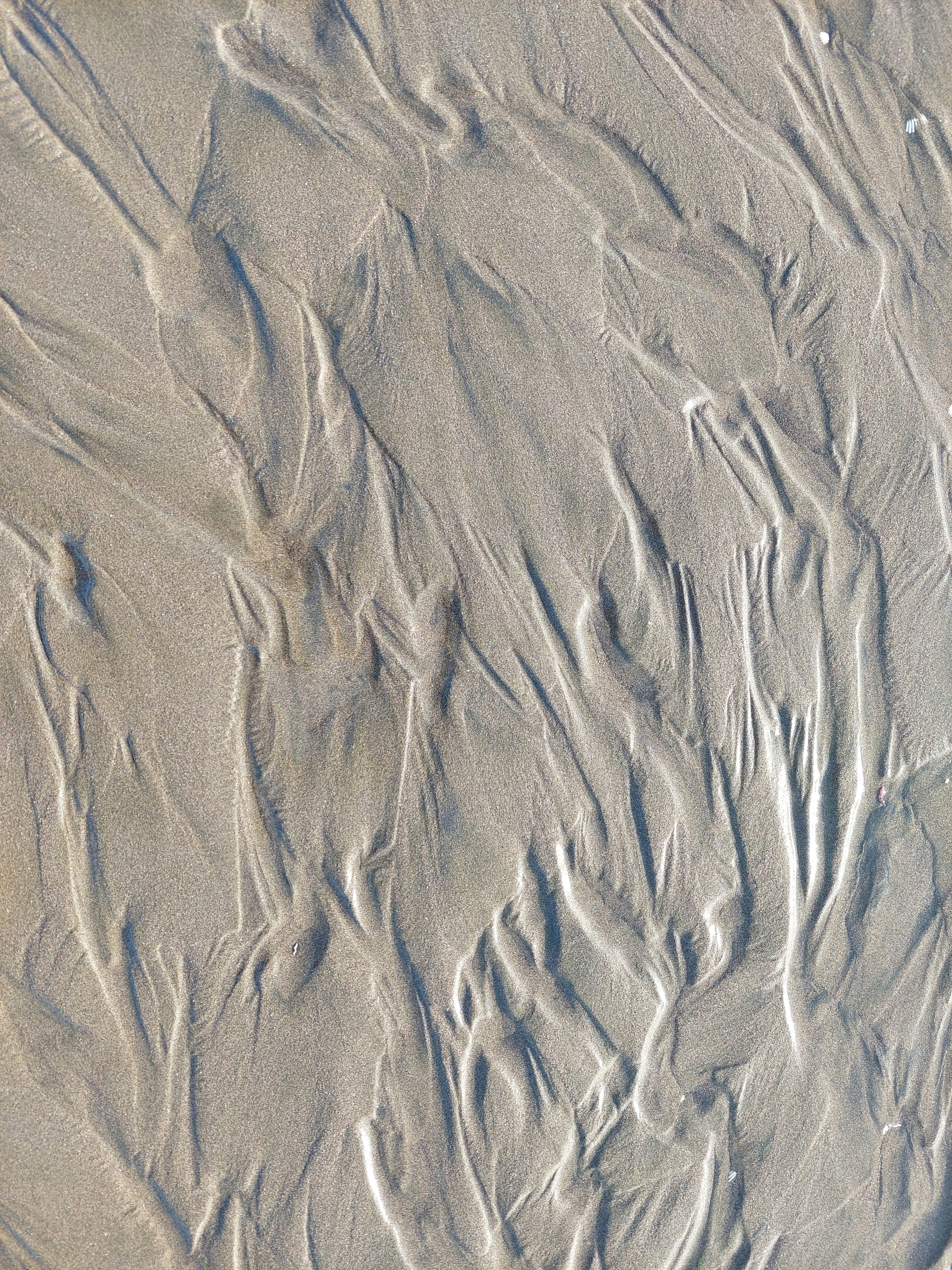 Intricate patterns formed by water receding over wet sand, showcasing nature's artistry. The subtle textures create a mesmerizing visual effect.