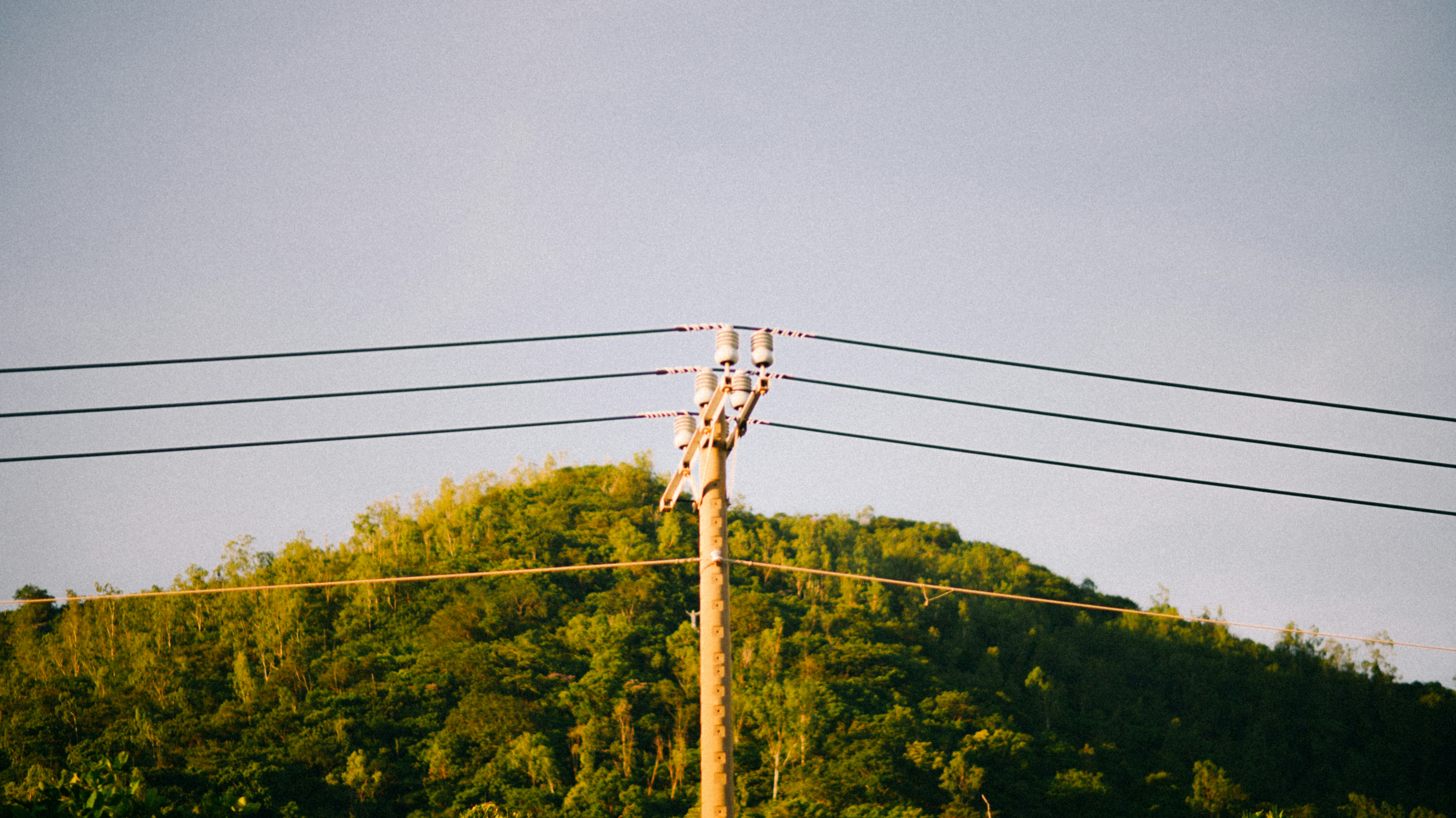 Centerline of Quiet: A Lone Utility Pole Framed by Green Hills