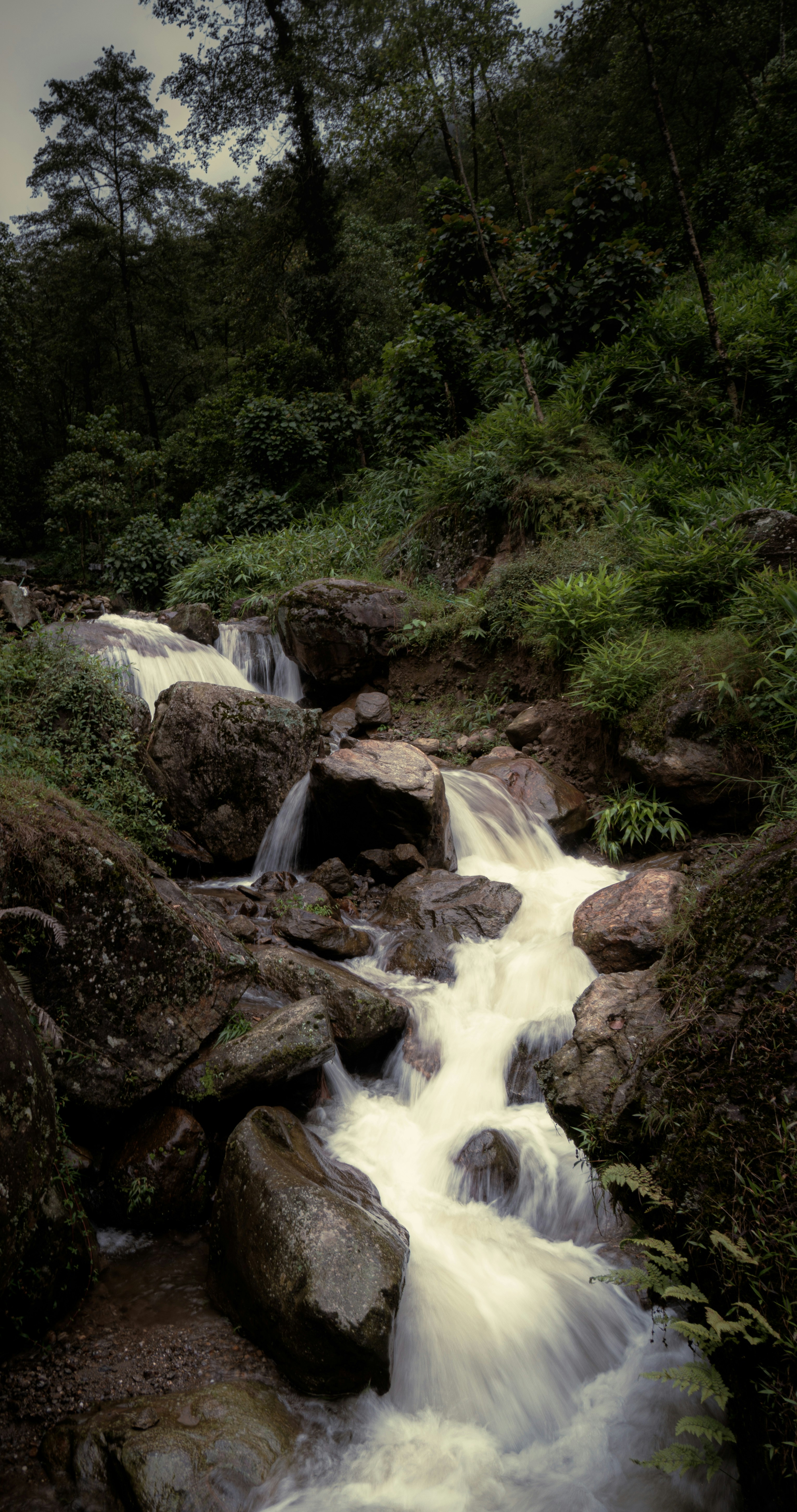 Free Rimbick Image on Unsplash