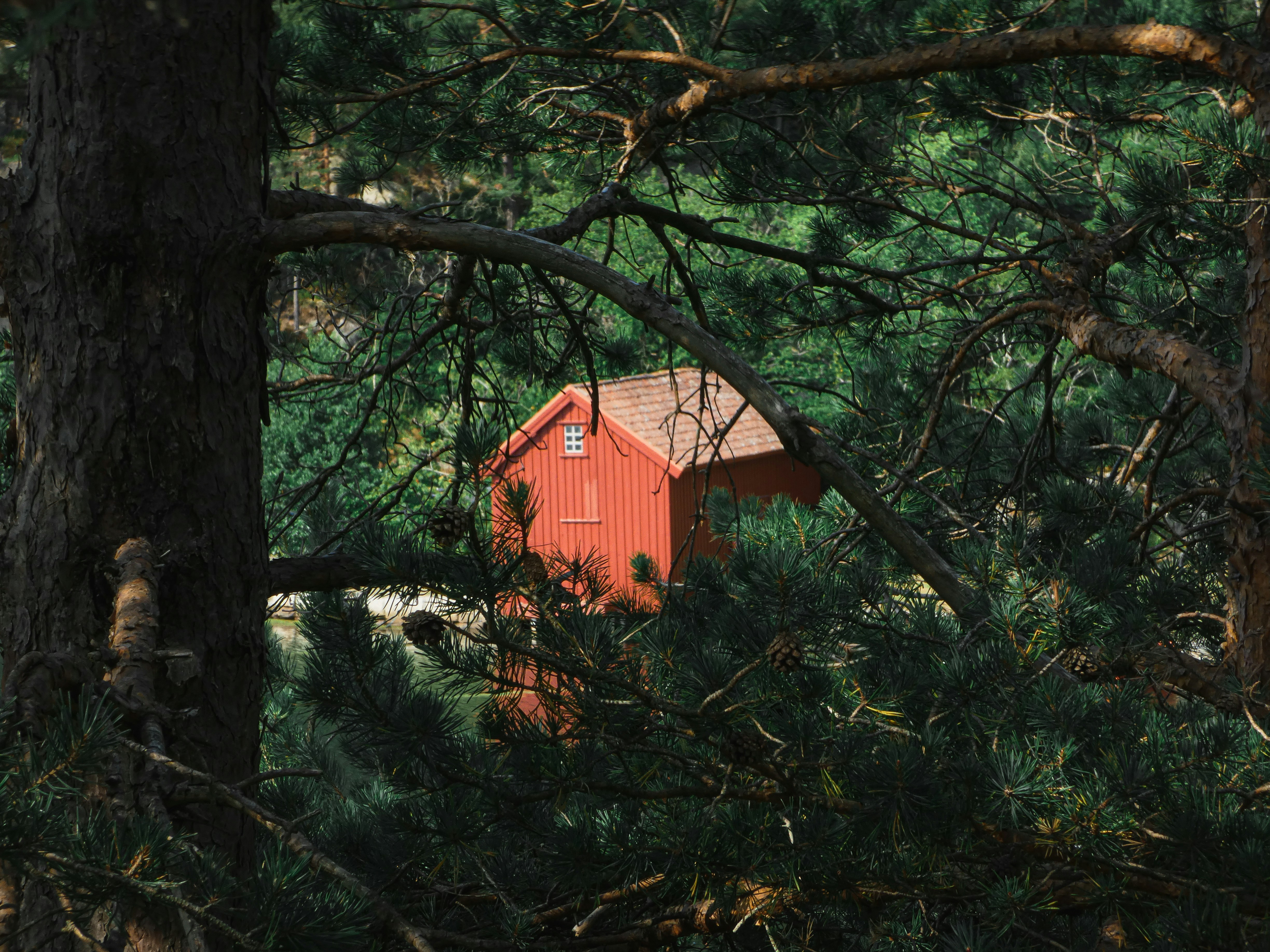 A quaint red cabin nestled among lush green trees, partially obscured by branches. The serene setting suggests a peaceful escape into nature.