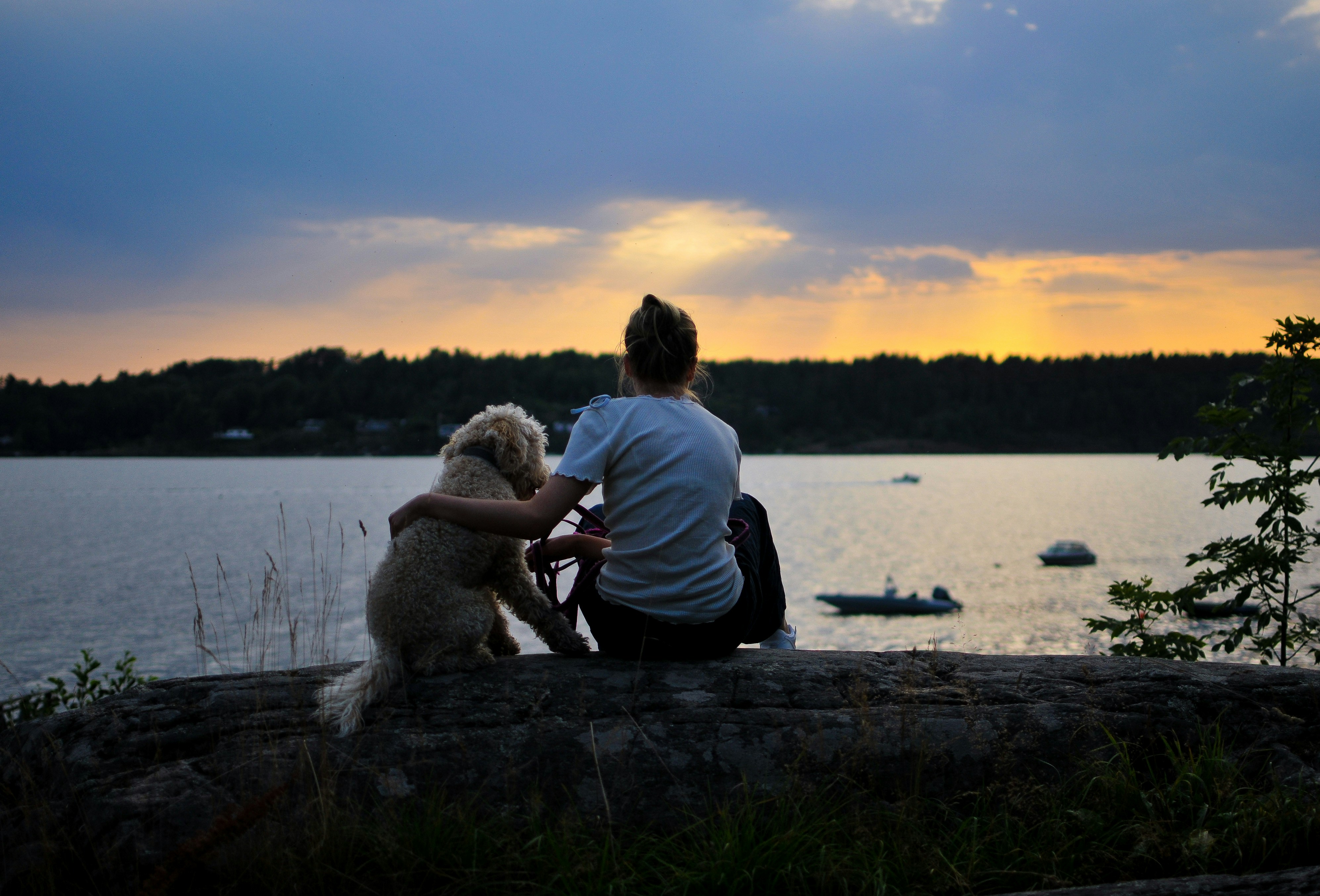 A person sits on a log by the water, embracing a dog as the sun sets behind them, casting a warm glow over the serene landscape.
